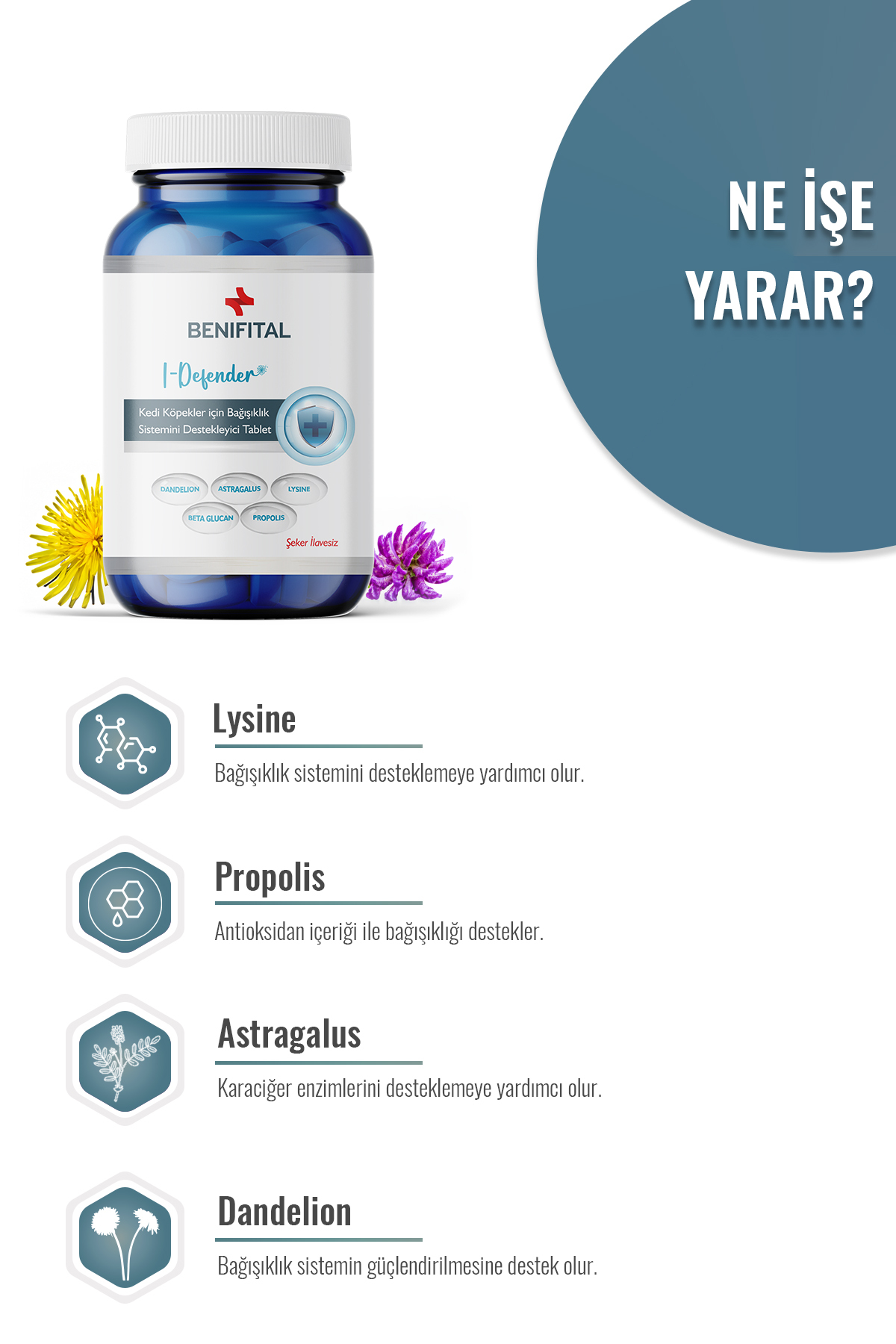 Benifital I-defender Tablet Kediler Ve Köpekler Için Bağışıklık Sistemi ...
