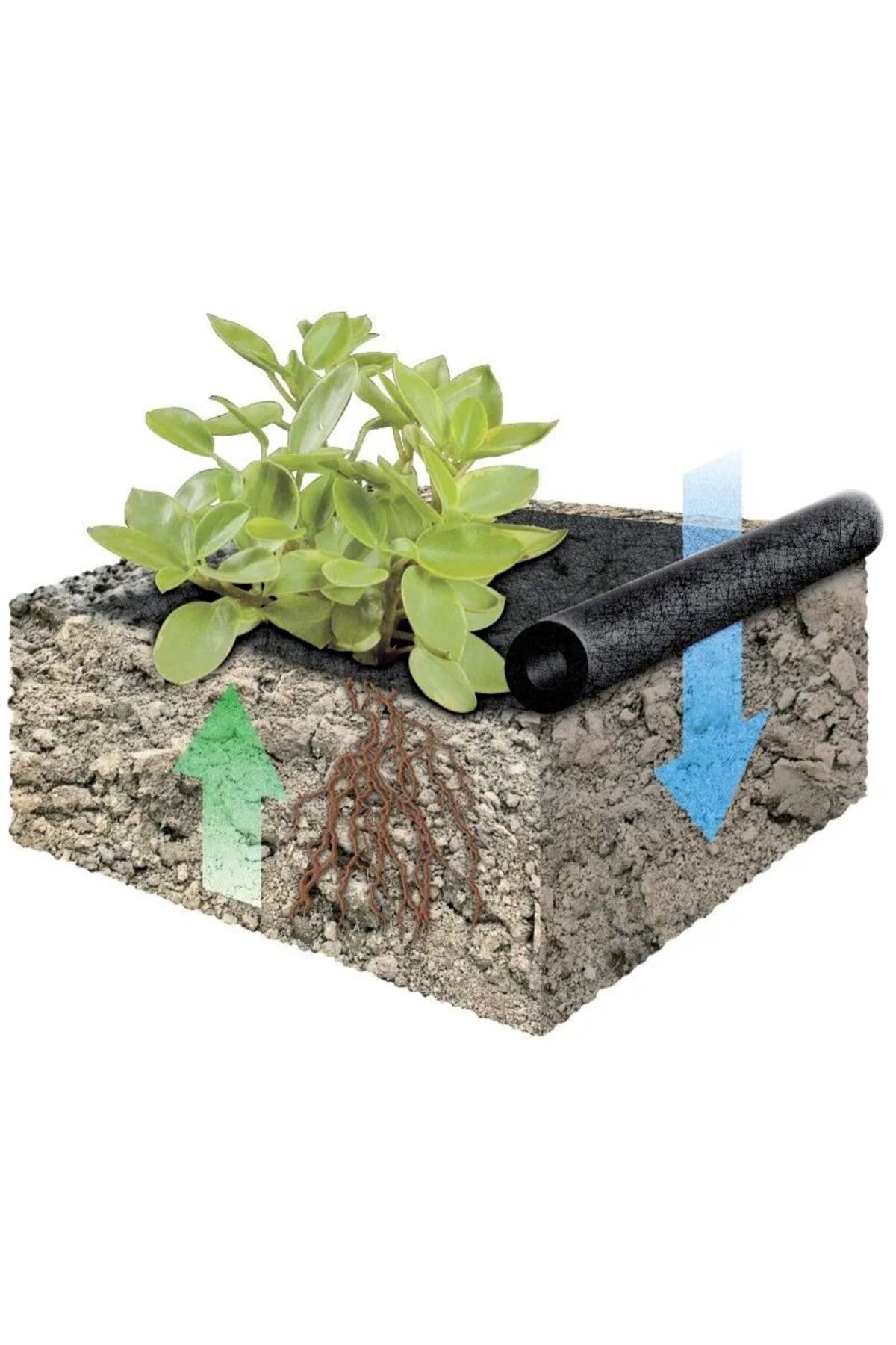 SERNAK Dupont Plantex Gold - Yabani Ot Tutucu - Fiyatı, Yorumları