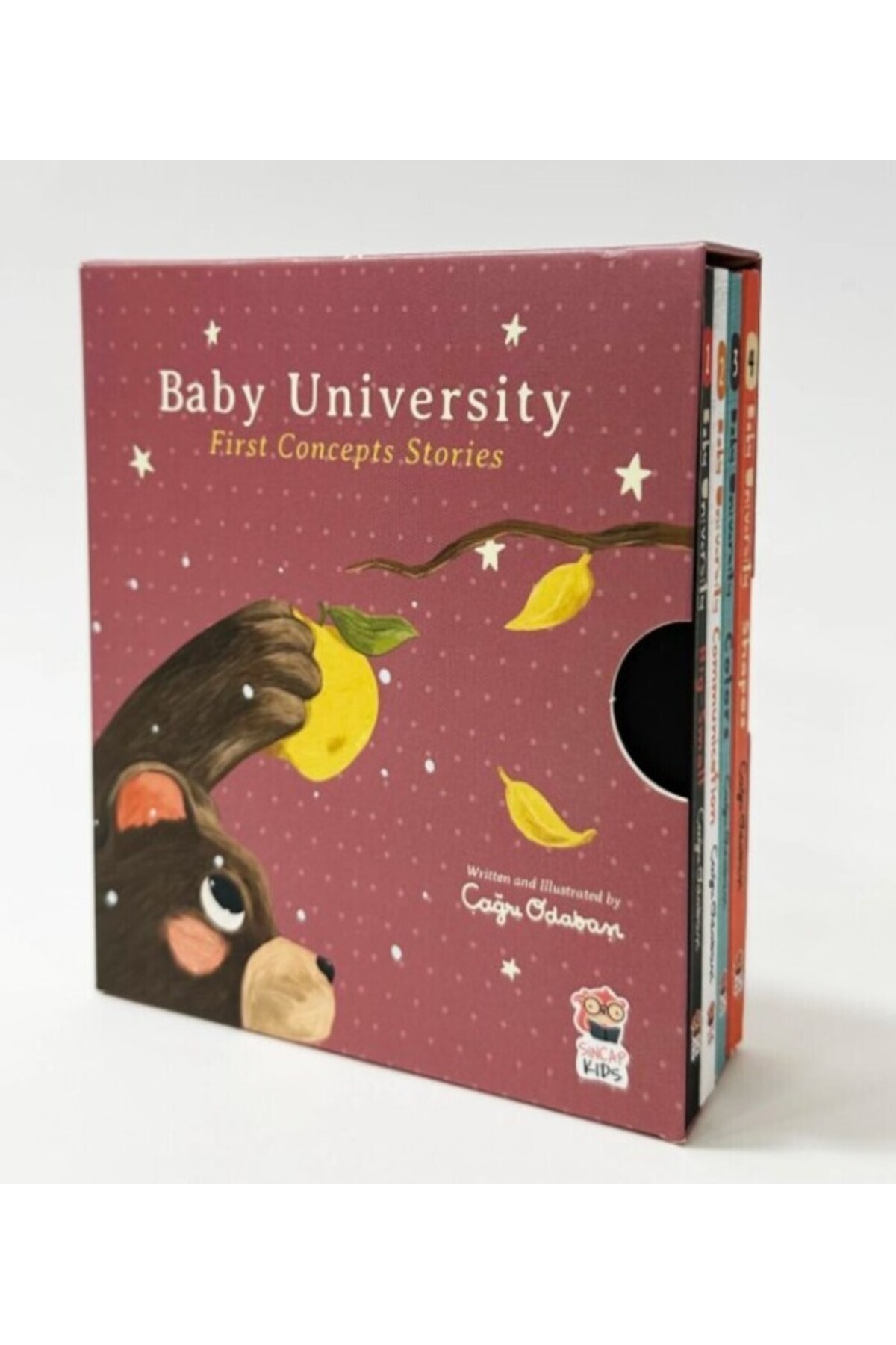 Sincap Kitap Baby University First Concepts Stories (4 Book) Fiyatı ...