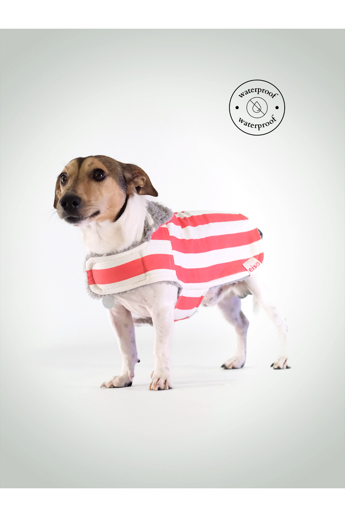 Eiso Köpek Mont - Su Geçirmez & Kürklü - Fiyatı, Yorumları