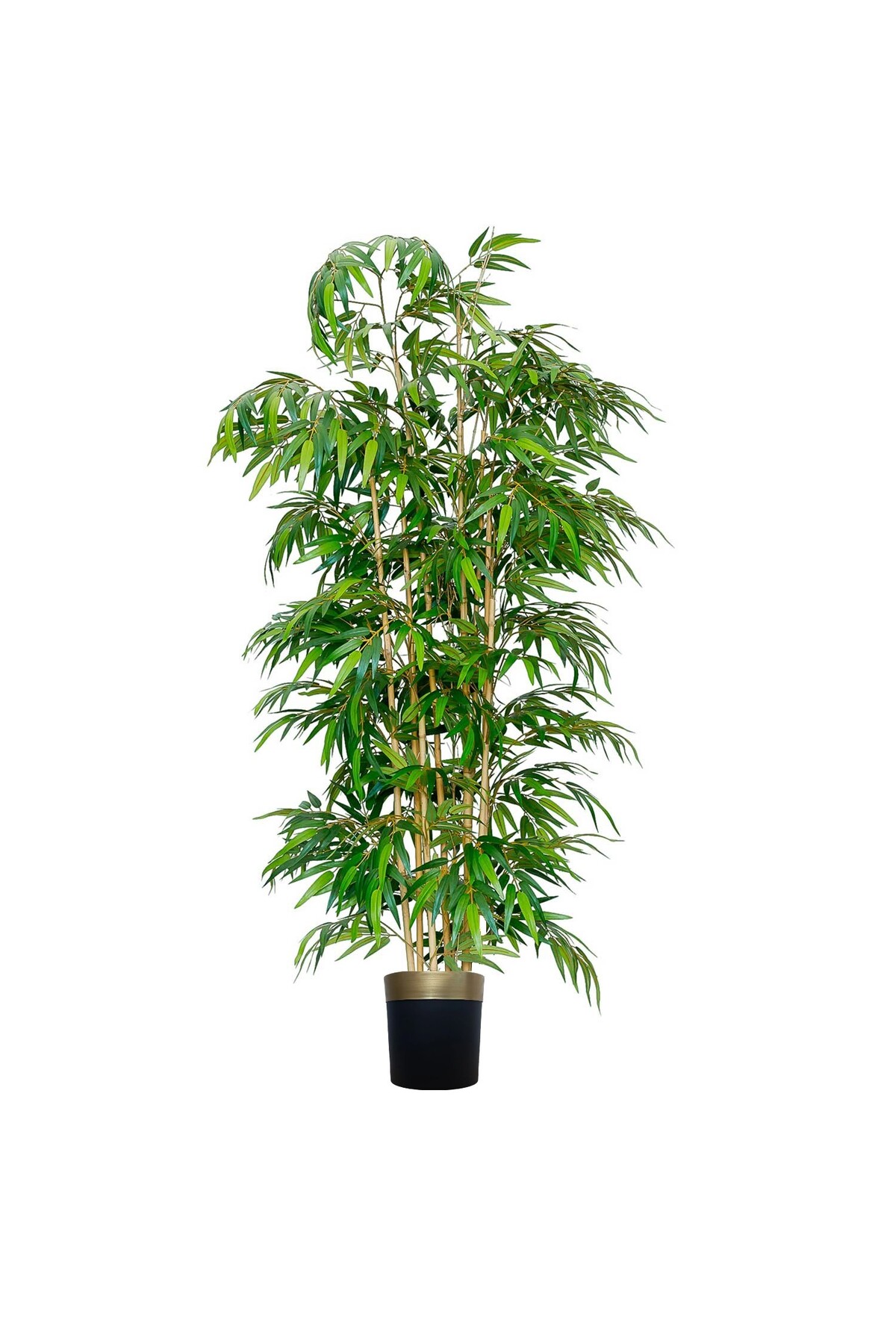 ERHAN FLOWERS BAMBU AĞACI 15'Lİ - Fiyatı, Yorumları