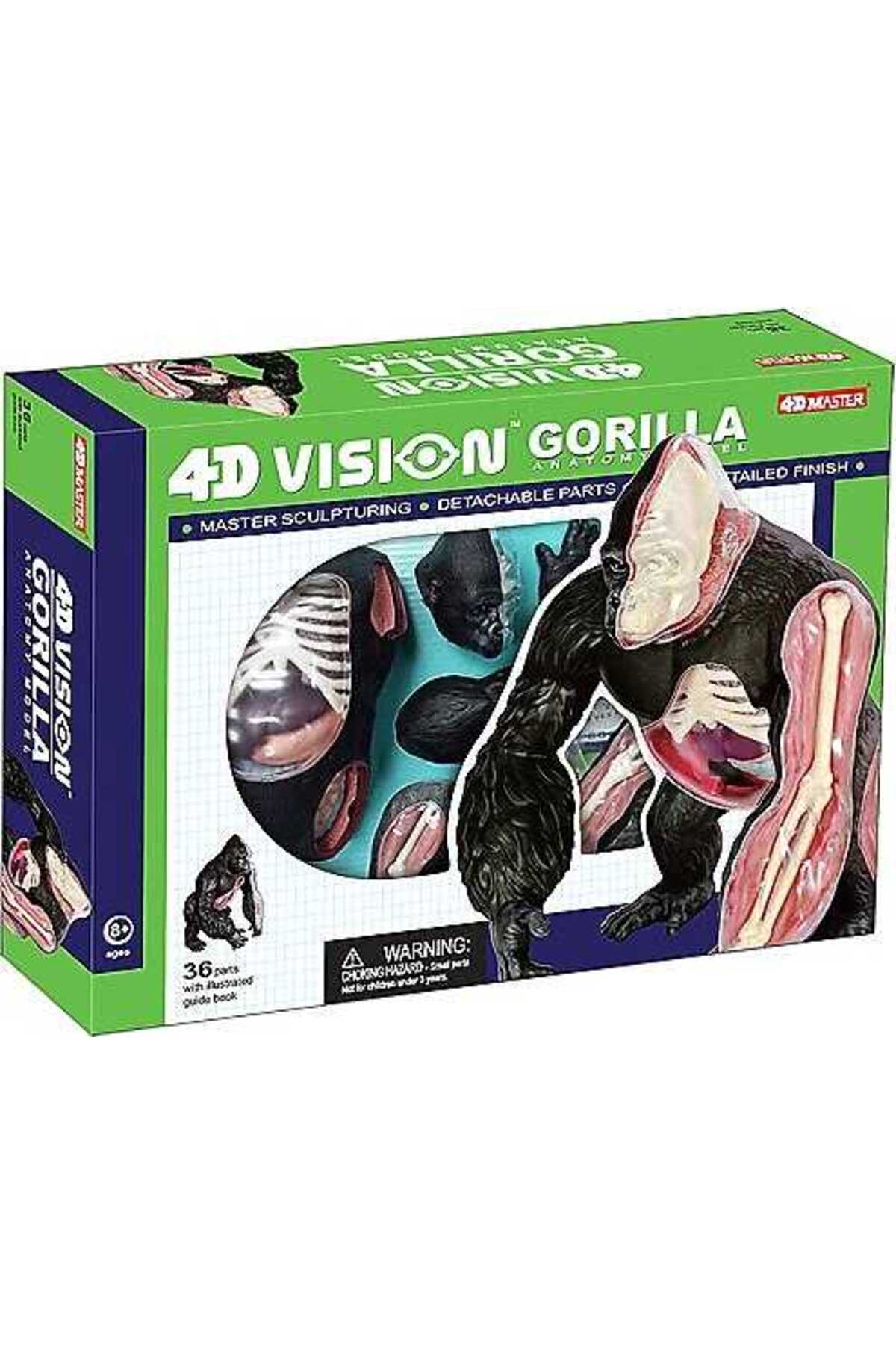 4D Master Vision Oyuncak Goril Anatomi Modeli Fiyatı, Yorumları - Trendyol
