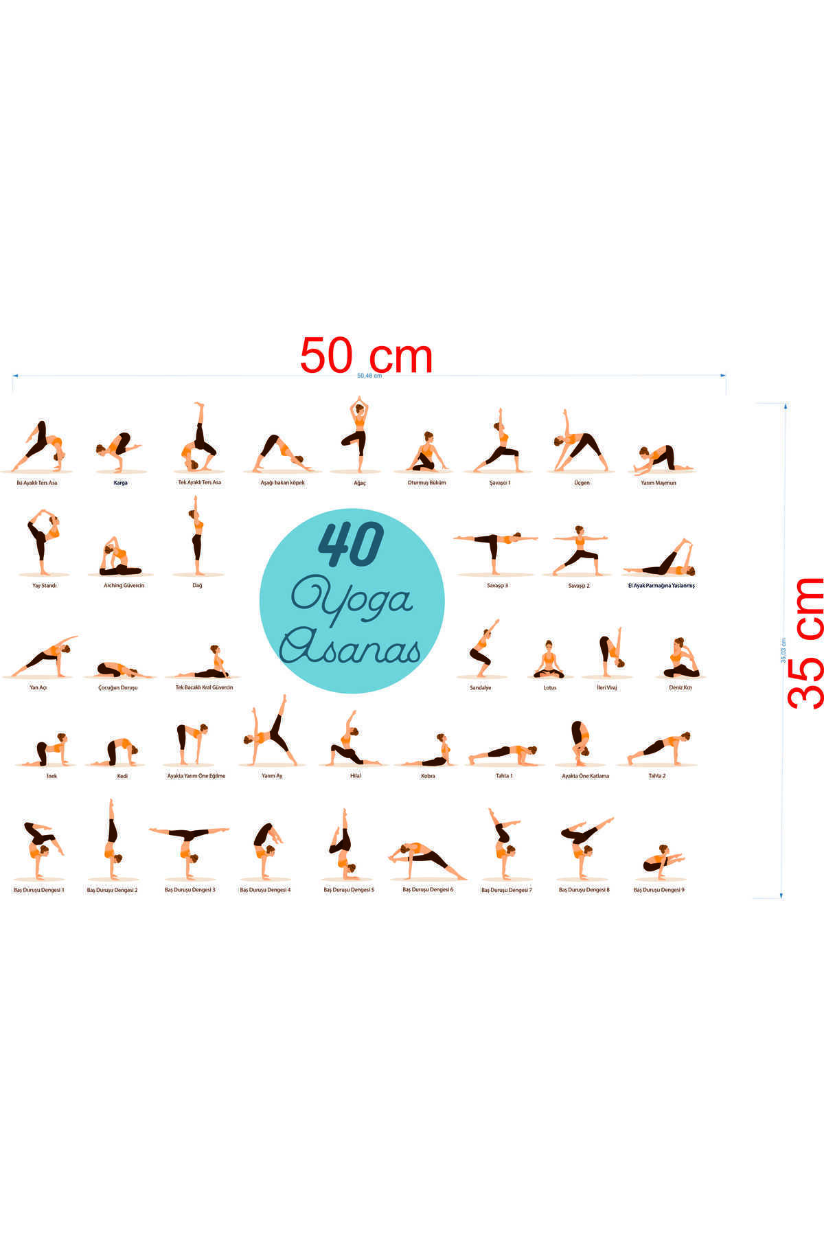 bizerk görsel Yoga Duruşları Yoga Asa Spor Pilates Fitness Salonu GYM ...