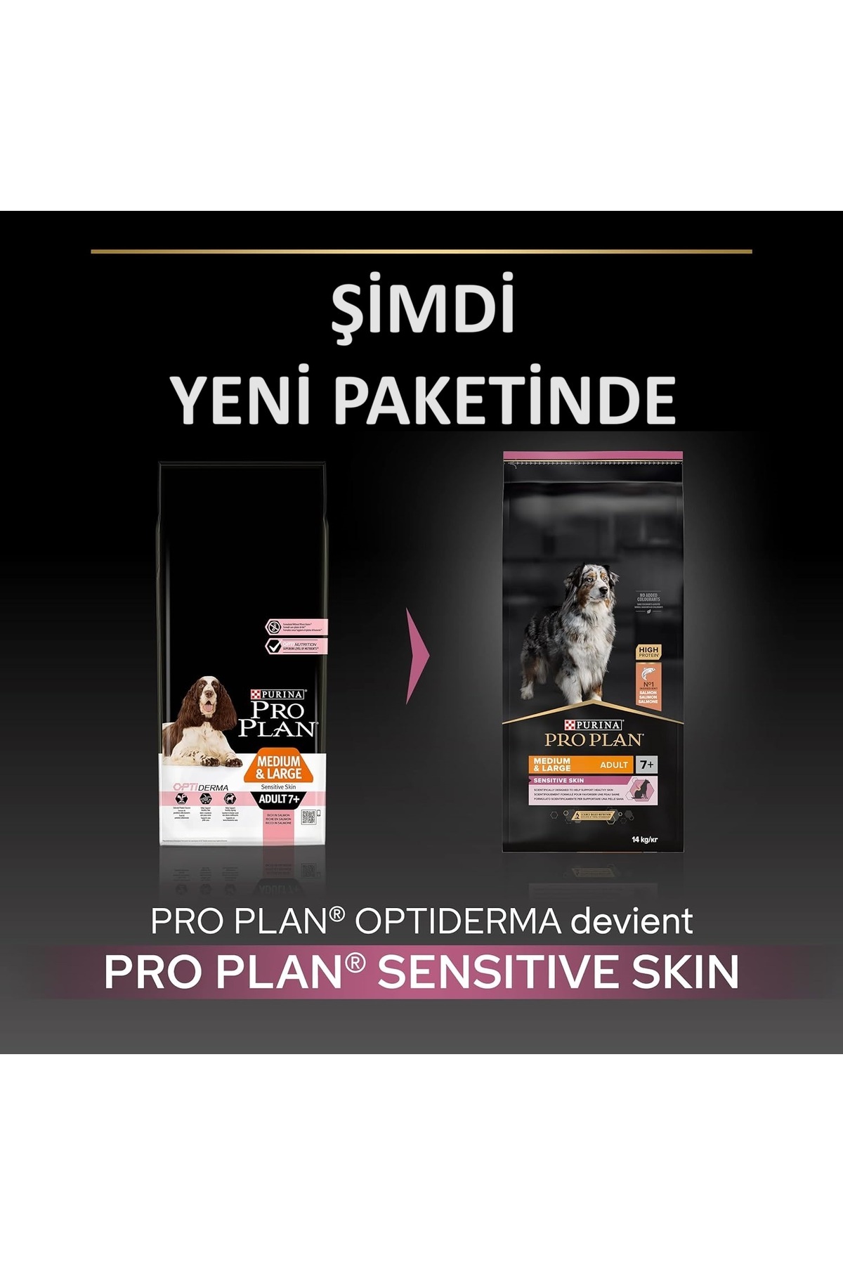 Pro Plan Pro Plan Orta ve Büyük Irk Somonlu Yaşlı Köpek Maması 14 kg ...
