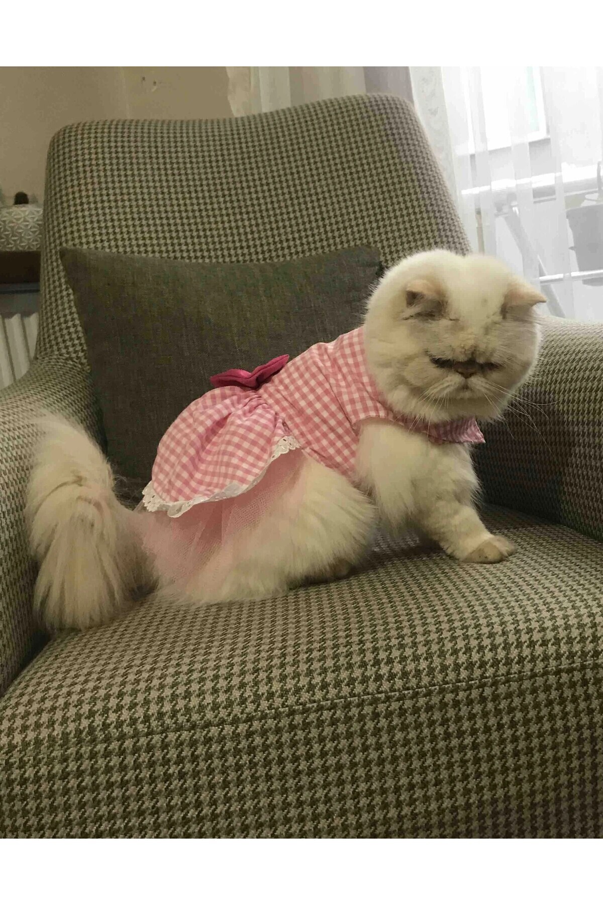 Gobo Beyaz Kareli Pembe Dişi Kedi Köpek Kıyafeti Elbisesi Medium/m/beden 2 - Fiyatı, Yorumları