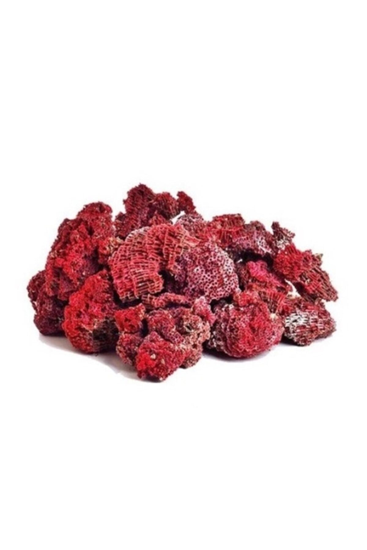 Genel Markalar Yedi Kardeş Kanı 100 Gr Krk - Fiyatı, Yorumları