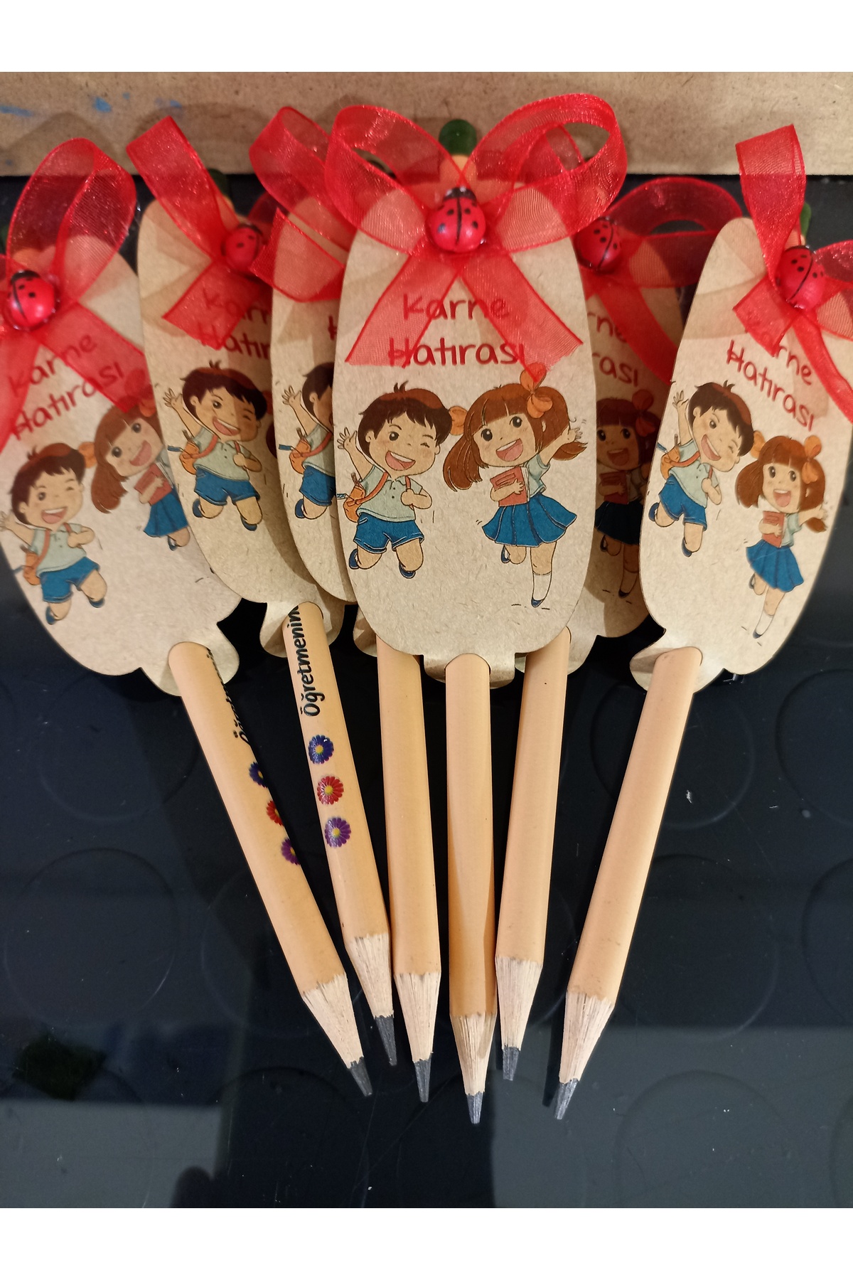 Wi Fro Karne hediyesi 20 adet Tohumlu Kalem - Fiyatı, Yorumları