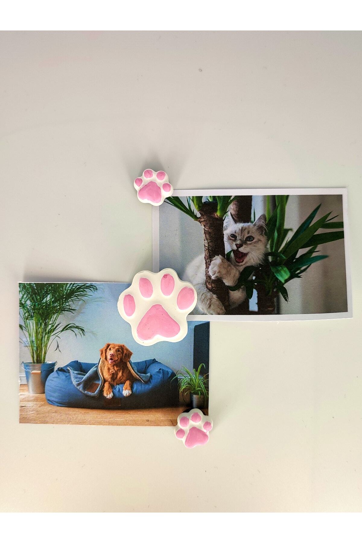 Paddex Buzdolabı Magnet, Buzdolabı Süsü - Pati 5'li Set - Pembe Fiyatı ...