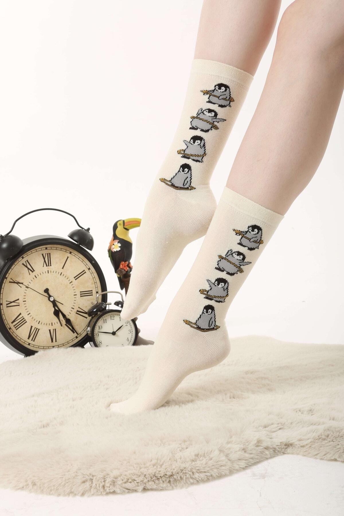 Socks Tunnel 6'lı Hayvan Karma Desenli Renkli Çorap Set Fiyatı ...