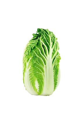 🥬 Çin Marulu ile Sağlıklı Beslenin! Hemen Keşfedin!