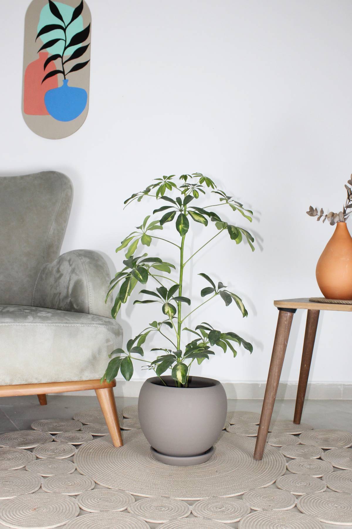 saksiart Küre Model Çömlek Saksı Vizon H:35cm-ÇAP:41cm Fiyatı ...