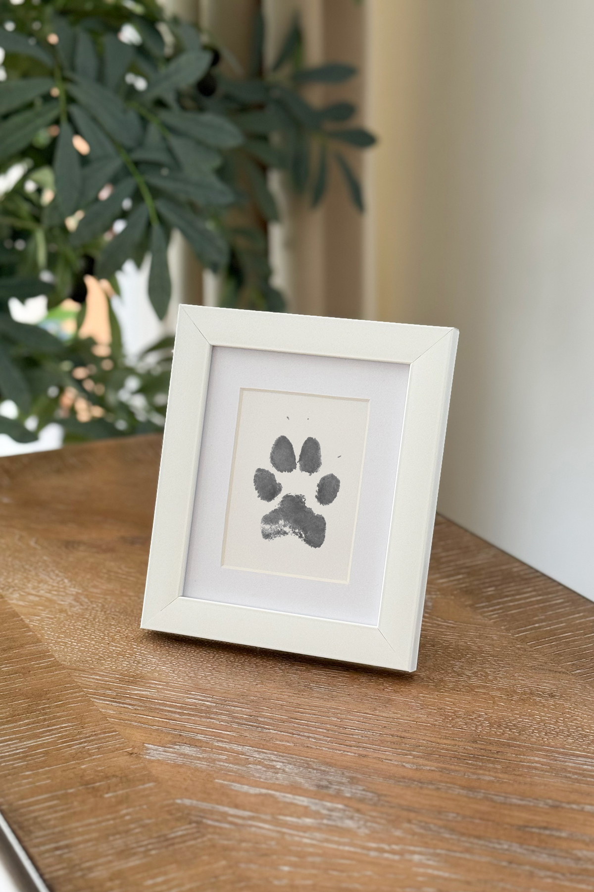 Fufizu Evcil Hayvan Pati İzi Seti Mürekkepsiz Baskı Kiti Fiyatı ...