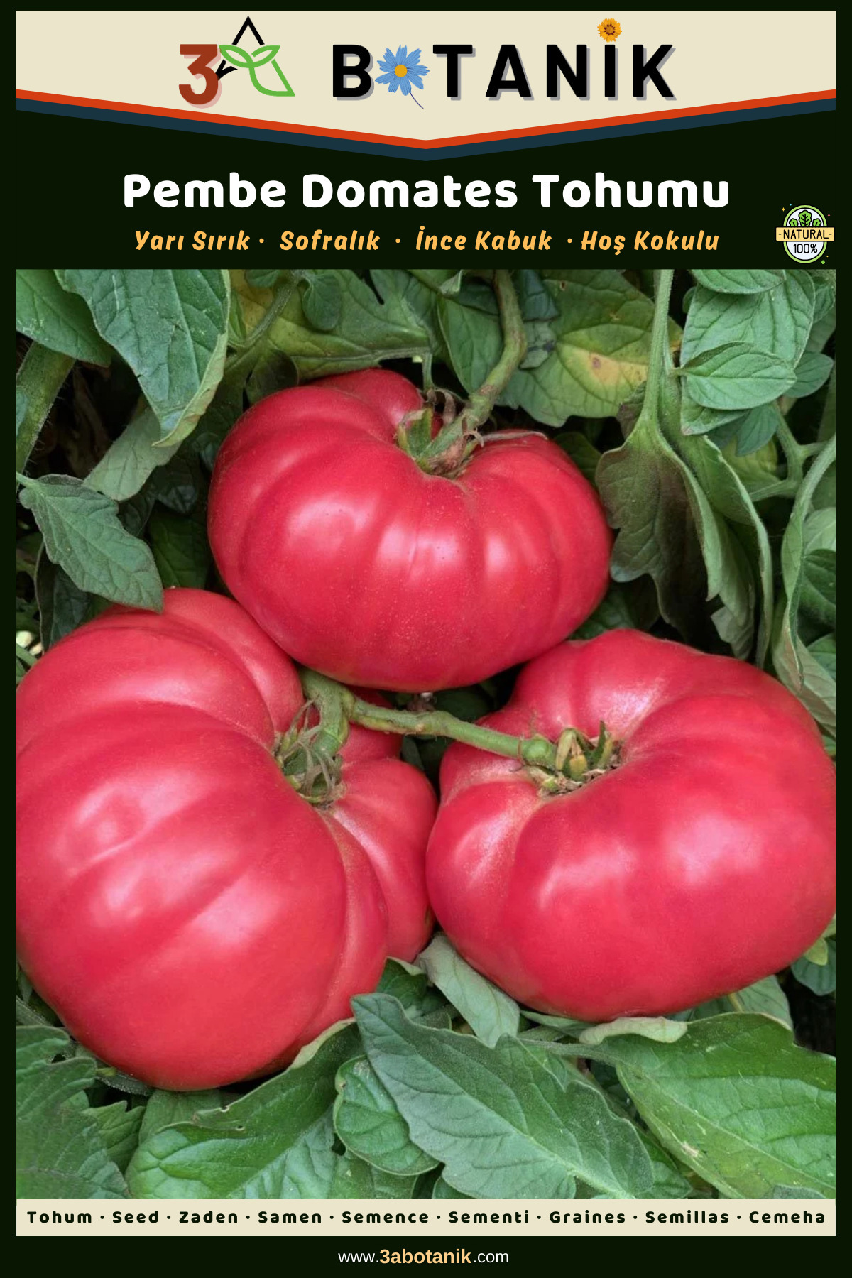 3A BOTANİK Pembe Domates Tohumu, Yerli ve Sürdürülebilir Tohum, 1 Gram ...