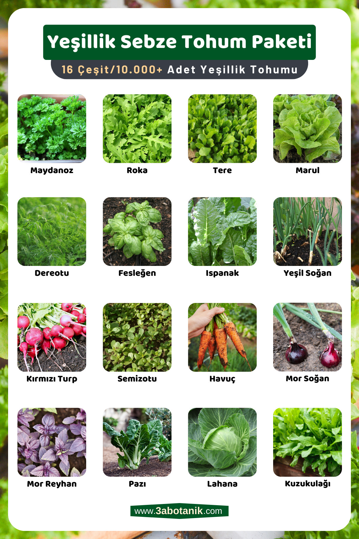 3A BOTANİK Yeşillik Sebze Tohum Paketi, 16 Çeşit Tohum, Takribi 10.000 ...