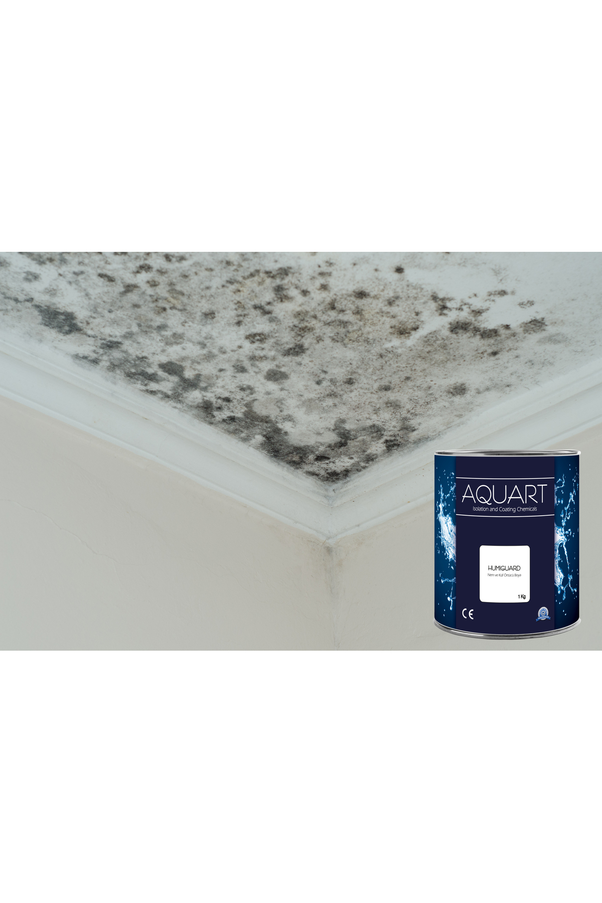 AQUART Humıguard Nem Ve Küf Boyası 1 Kg - Fiyatı, Yorumları