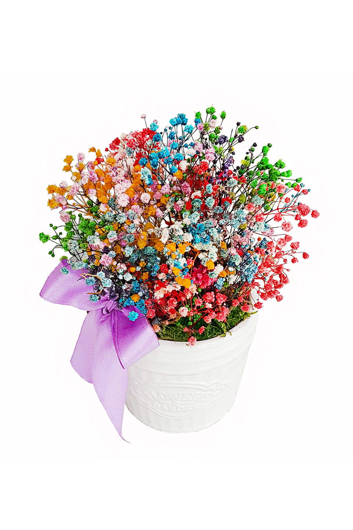 çiçekseli Rainbow Şoklanmış Cipso & Beton Saksıda Renkli Cipsolar ...