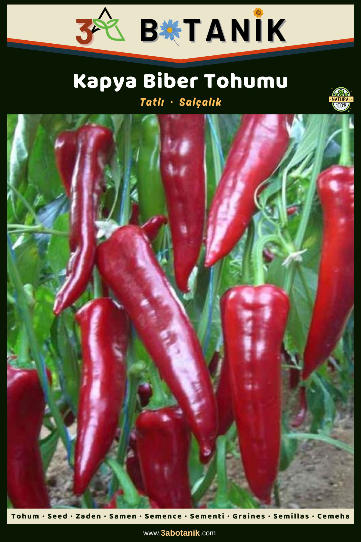 3A BOTANİK Kapya Biber Tohumu, Yerli ve Sürdürülebilir Tohum, 5 Gram ...