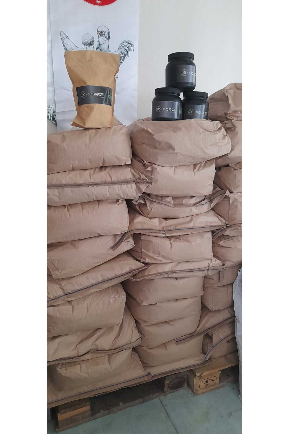 X-FORCE Protein - Fiyatı, Yorumları