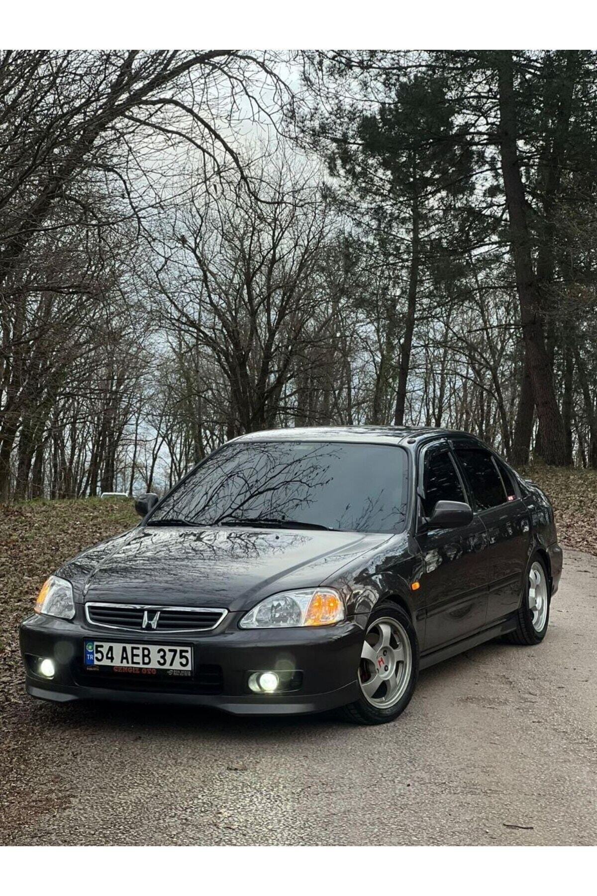 Altınoran Altın Oran Gold Class Seramik Wax Krem Cila Boya Koruma 100 GR Sünger & Bez Hediyeli ...