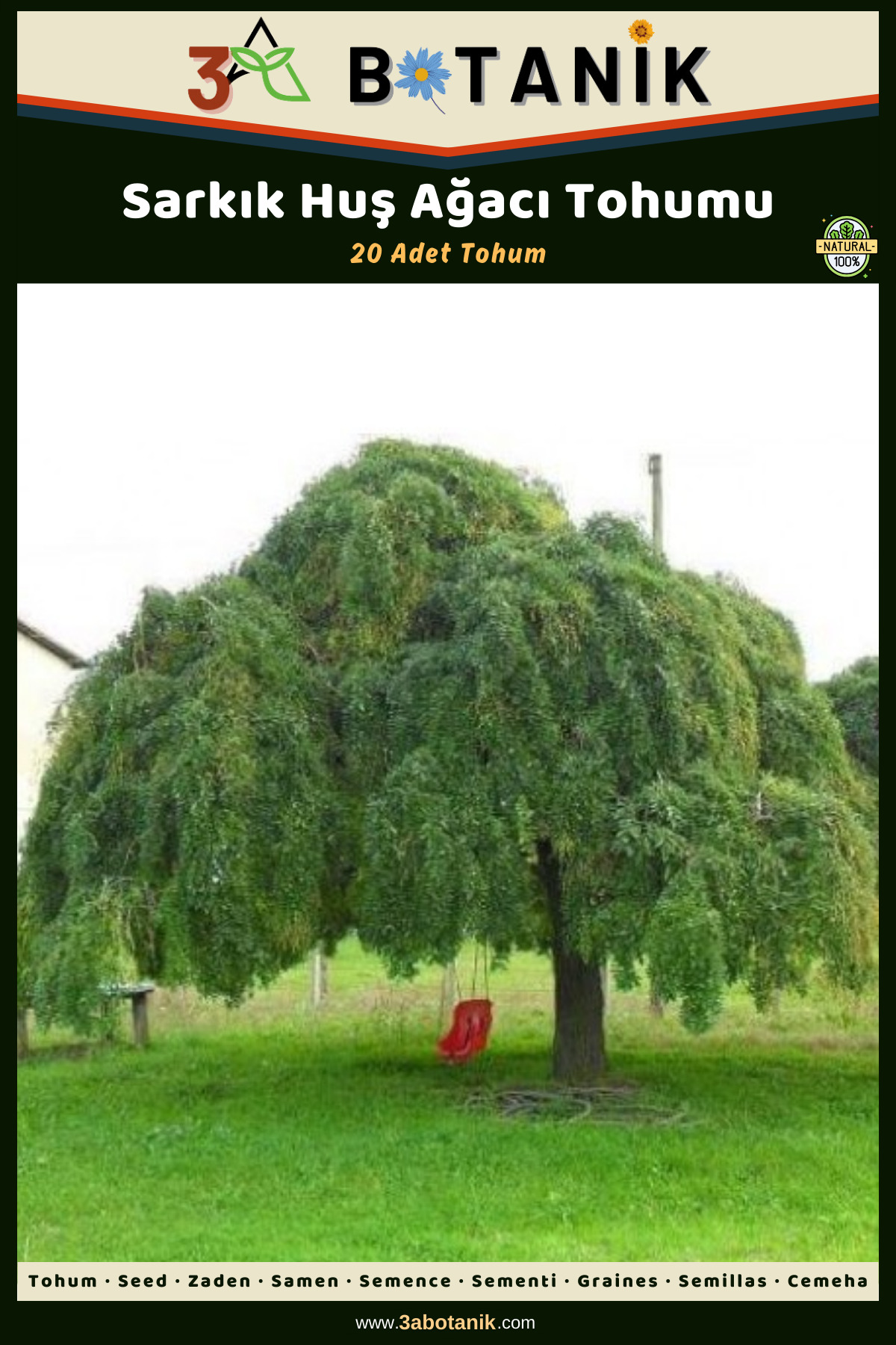 3A BOTANİK Sarkık Huş Ağacı Tohumu, 20 Adet Tohum, Betula Pendula - Fiyatı, Yorumları