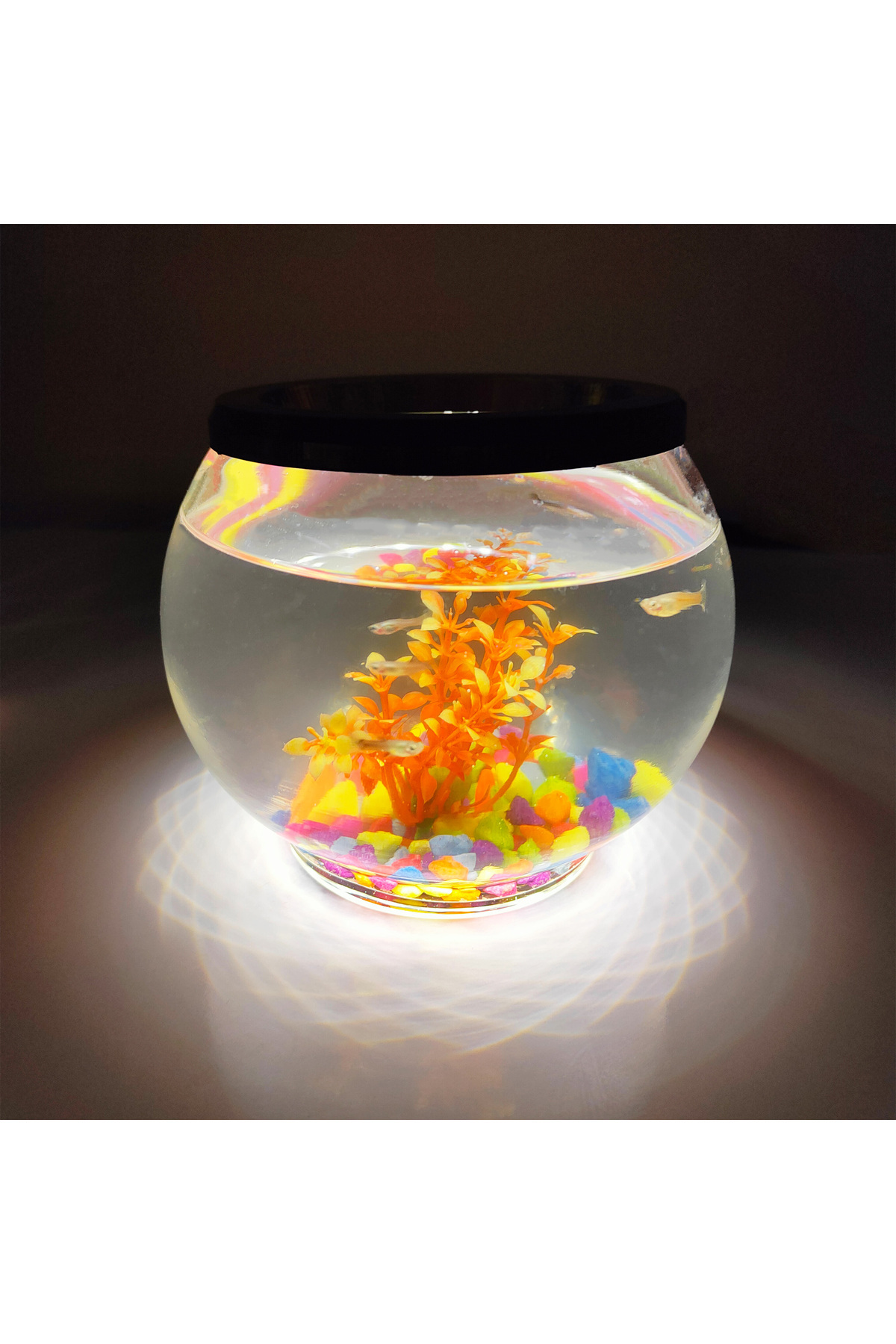 BİRRDESİGN Fanus Akvaryum Aydınlatma Işığı (12cm ağız çapı) balık ...