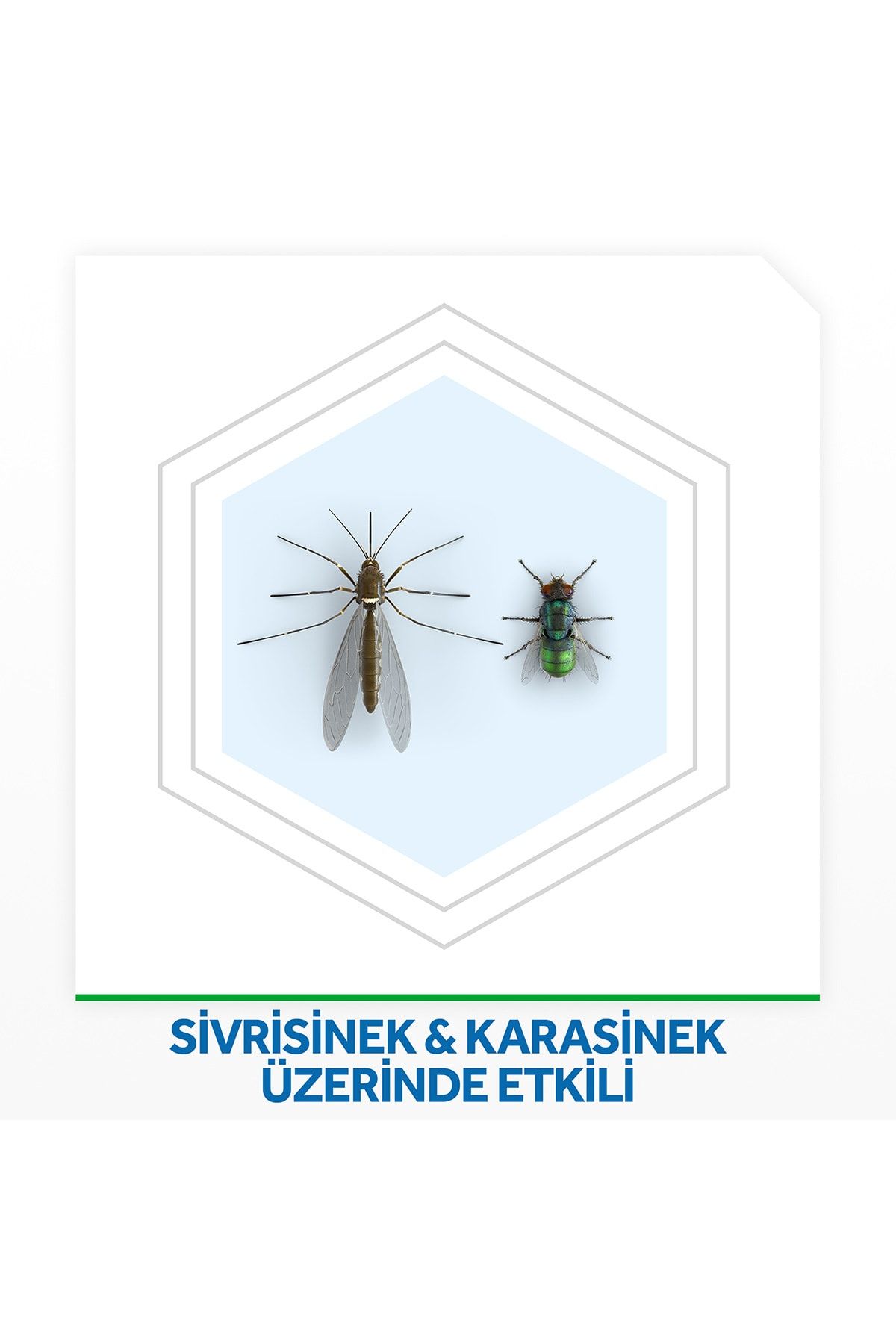 Raid Gece & Gündüz Sinekkovar 1 Yedek, 240 Saat Etki (SİVRİSİNEK VE ...