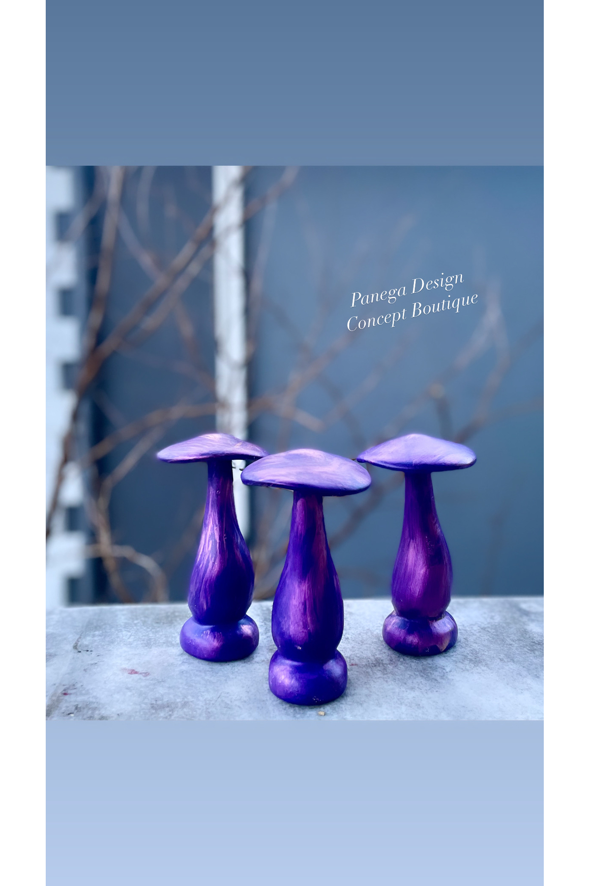 Panega Design Seramik hologram Mor mantar takım 3’lü Fiyatı, Yorumları ...