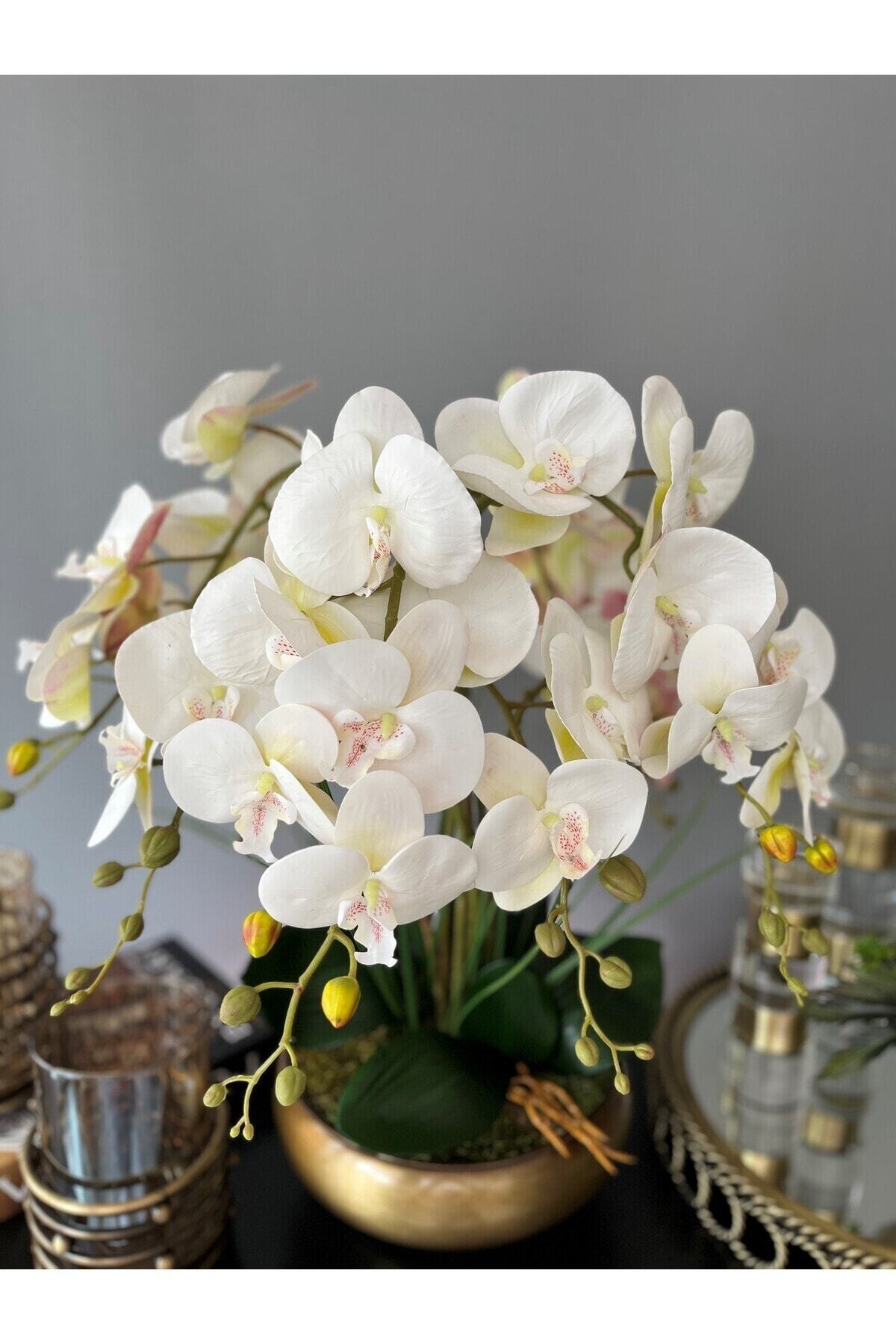 LİLOTEHOME 8 DAL KIRIK BEYAZ ISLAK ORKİDE ARANJMAN UFO MODEL ESKİTME MAT GOLD SAKSIDA Fiyatı ...