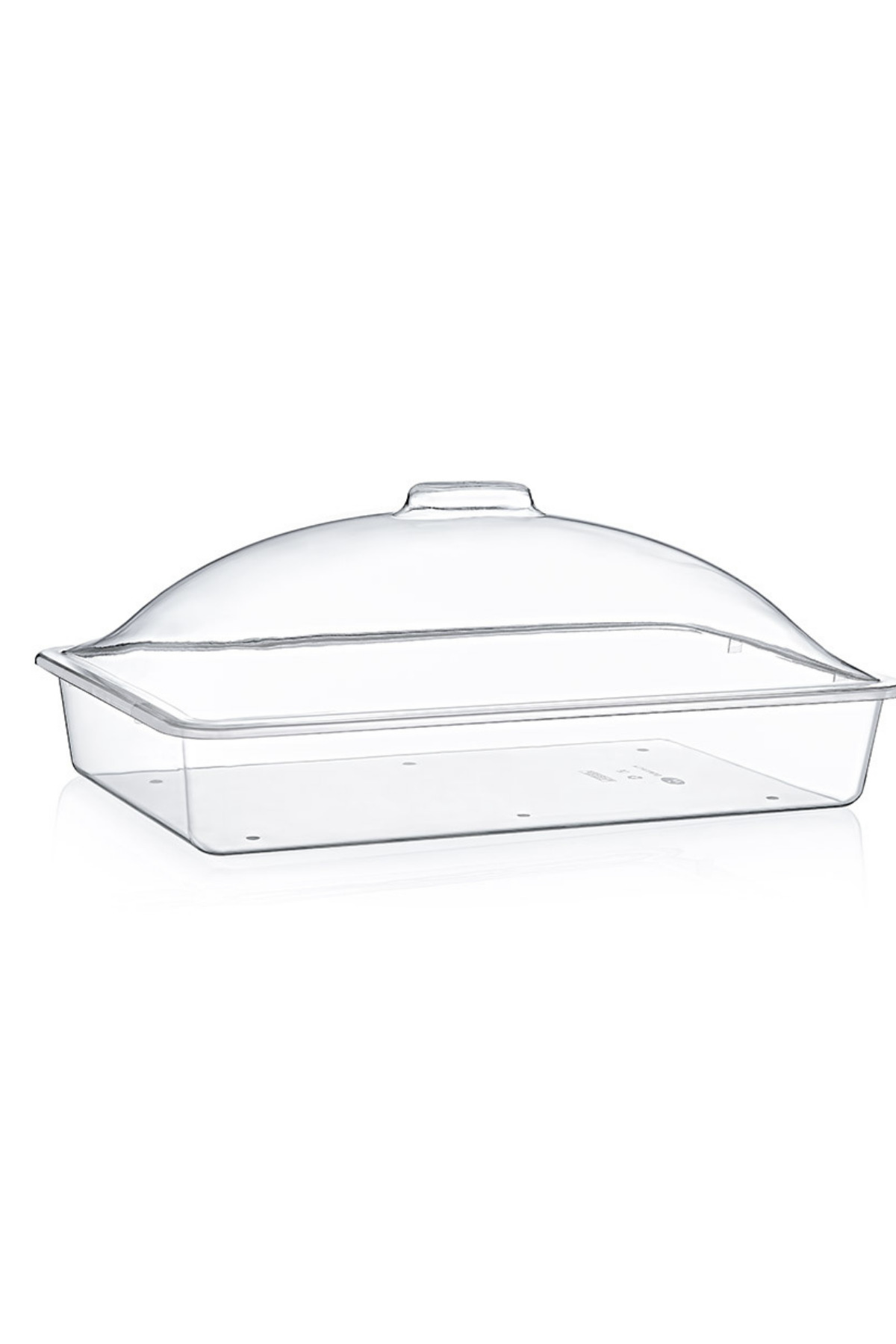 BAKIR EXPRESS Fanus Kapaklı Dikdörtgen Gıda Kutusu, Pasta, Kek Sunum ve ...