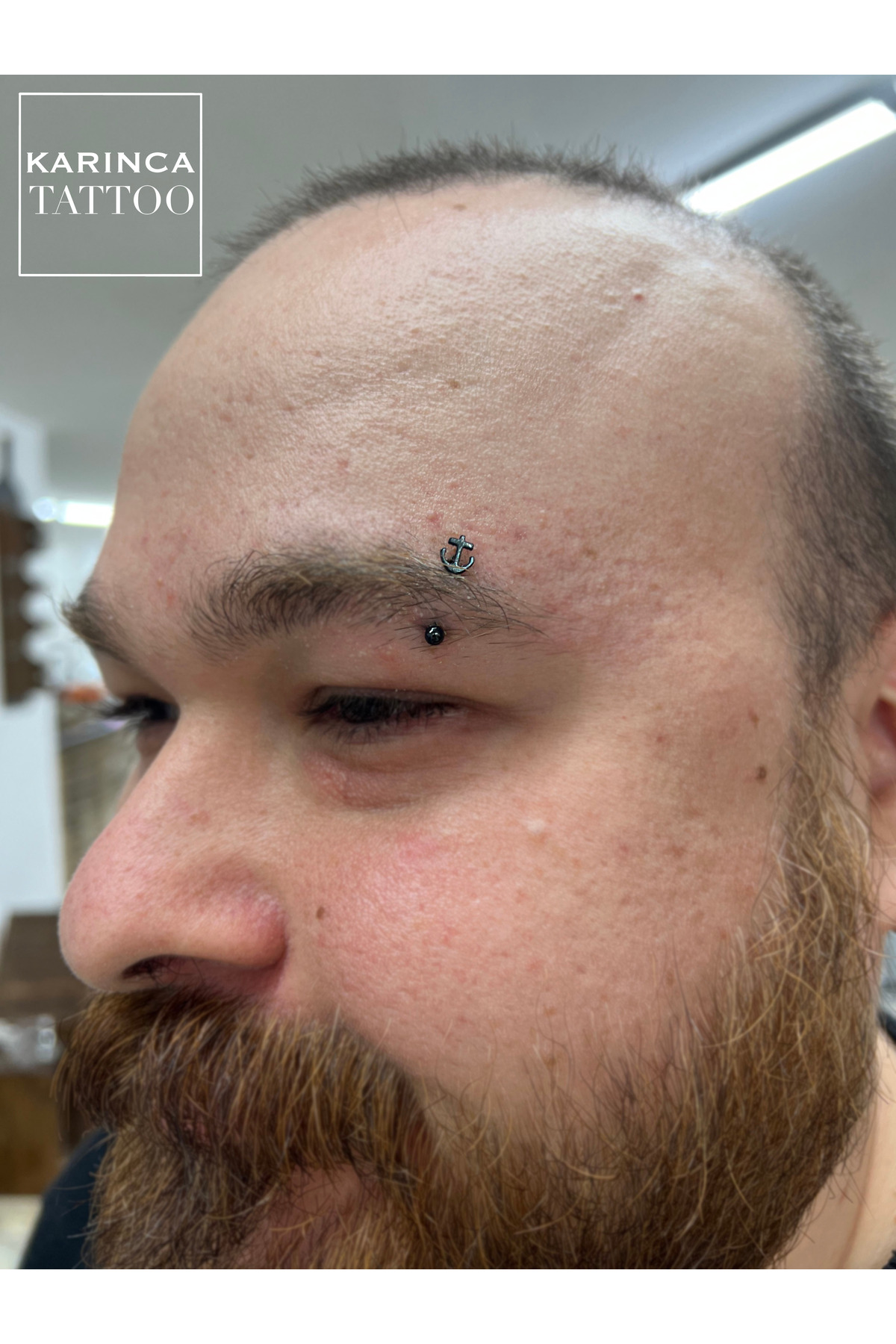 Karınca Piercing Siyah Çapa Model Rook Daith Snug Kulak Kıkırdak Conch ...