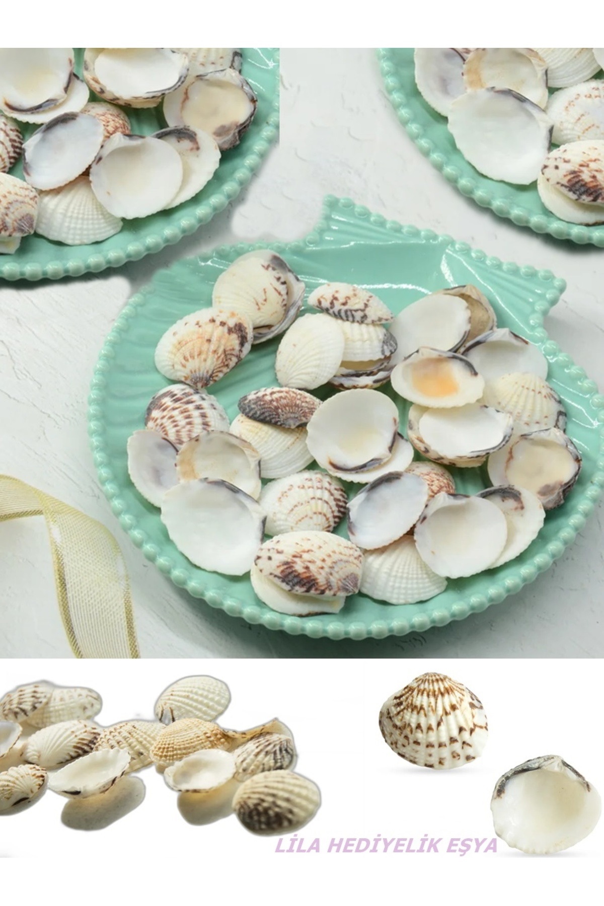 LilaHediyelikEşya 40 Adet Doğal Gerçek Deniz Kabuğu / Akvaryum Süsleme ...