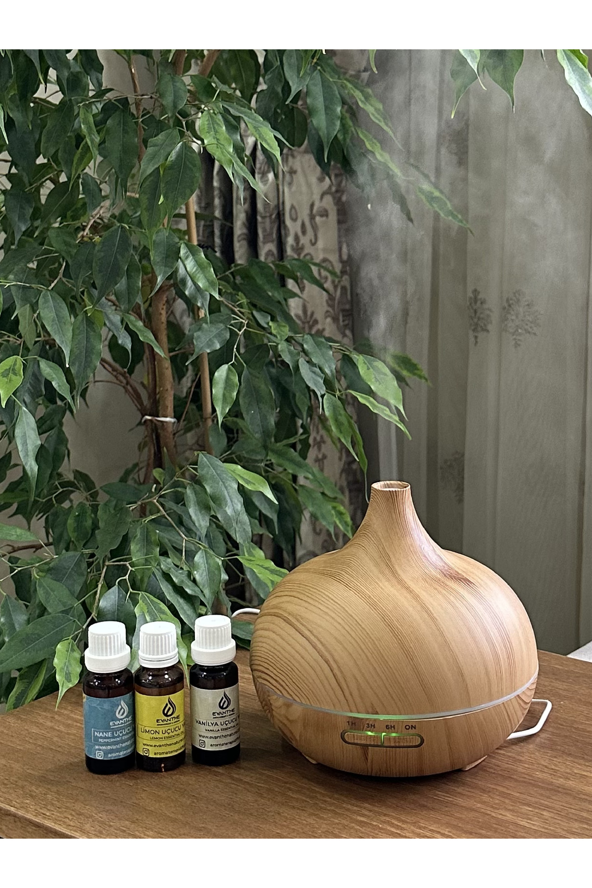 Evanthe 500 ML Aromaterapi Difüzör Buhar Yayıcı Nemlendirici - Fiyatı ...