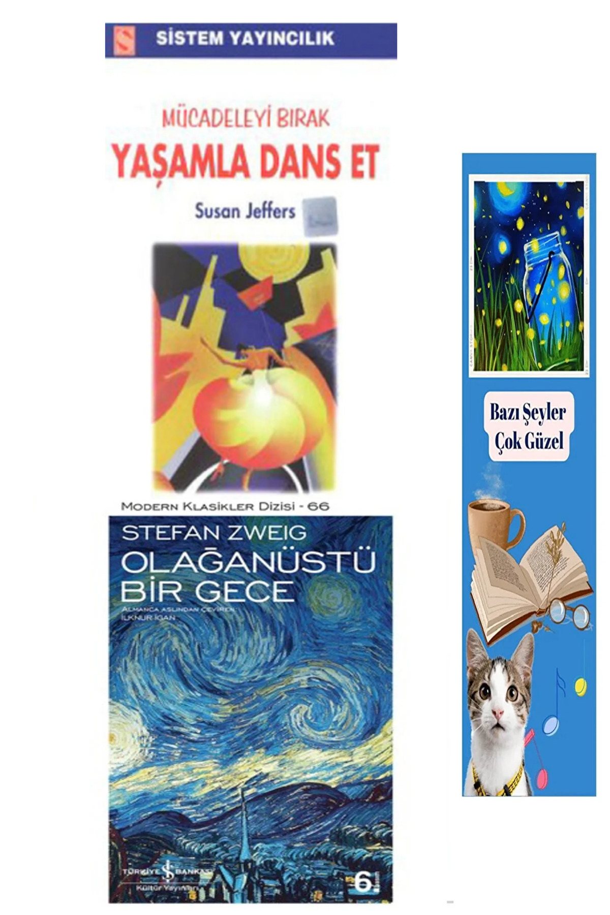 Türkiye İş Bankası Kültür Yayınları (Koleksiyon Kitap) Mücadeleyi Bırak ...