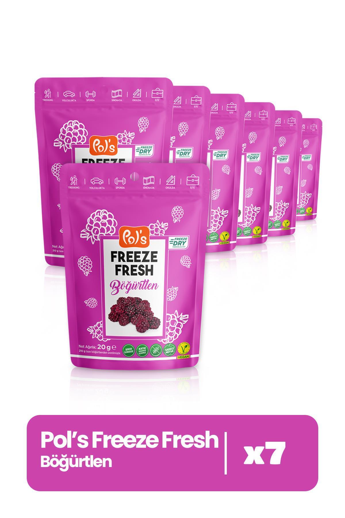 Pol's Freeze Fresh Böğürtlen 20 G X7 Adet Freeze Dry Dondurularak ...