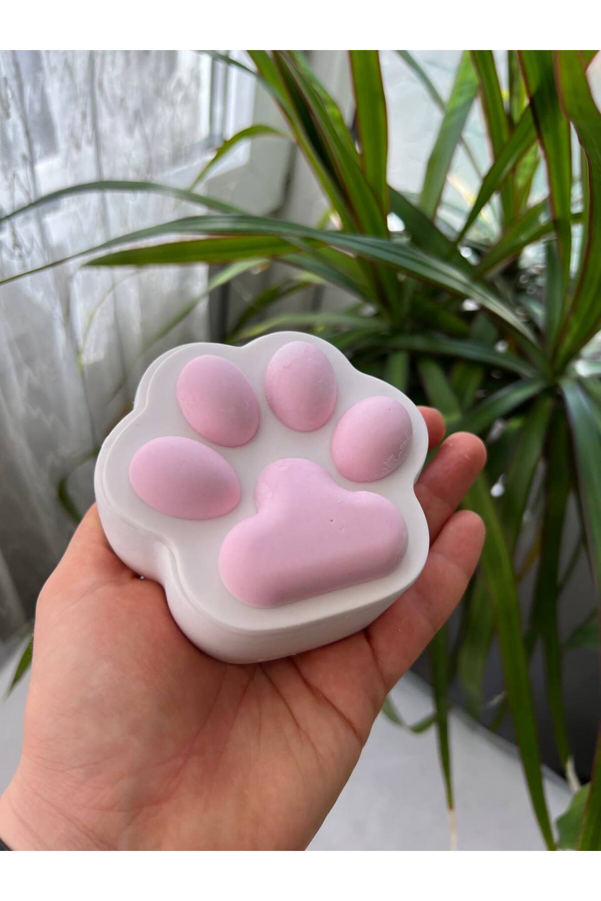 Love Candle Dekor Pati Kutusu, Kedi Pati Kutusu, Köpek Pati Kutusu ...