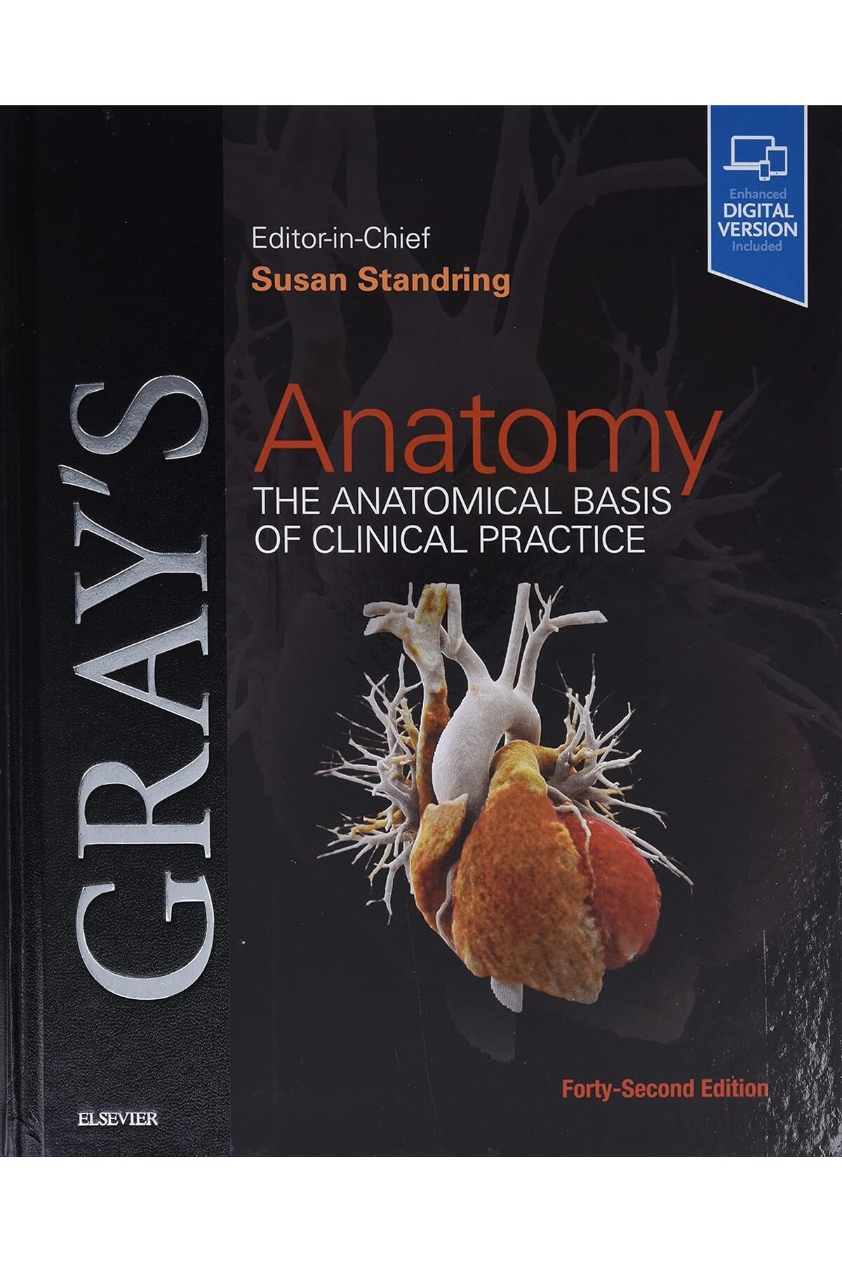 Elsevier Gray's Anatomy: The Anatomical Basis of Clinical Practice ...