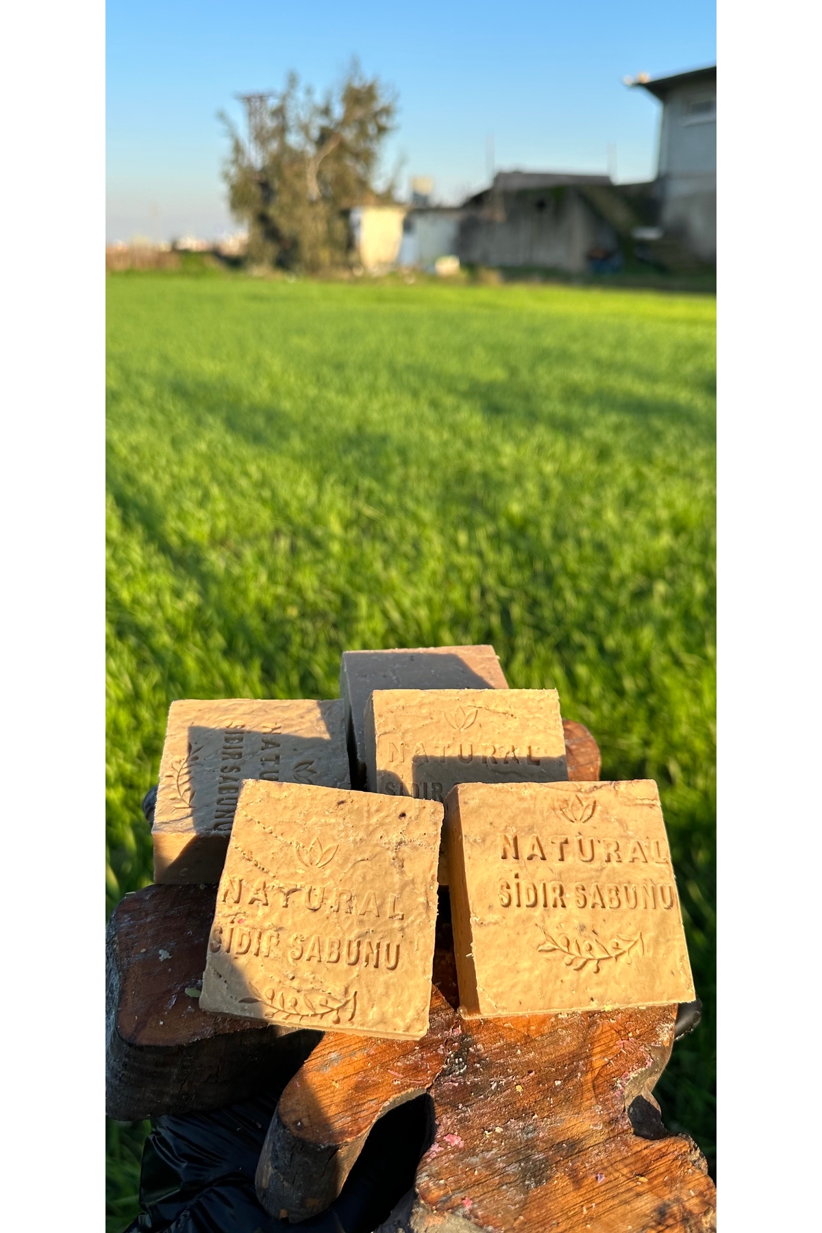 Elizans 1KG %100 Doğal ve el yapımı SİDİR SABUNU (8 ADET ) Fiyatı ...