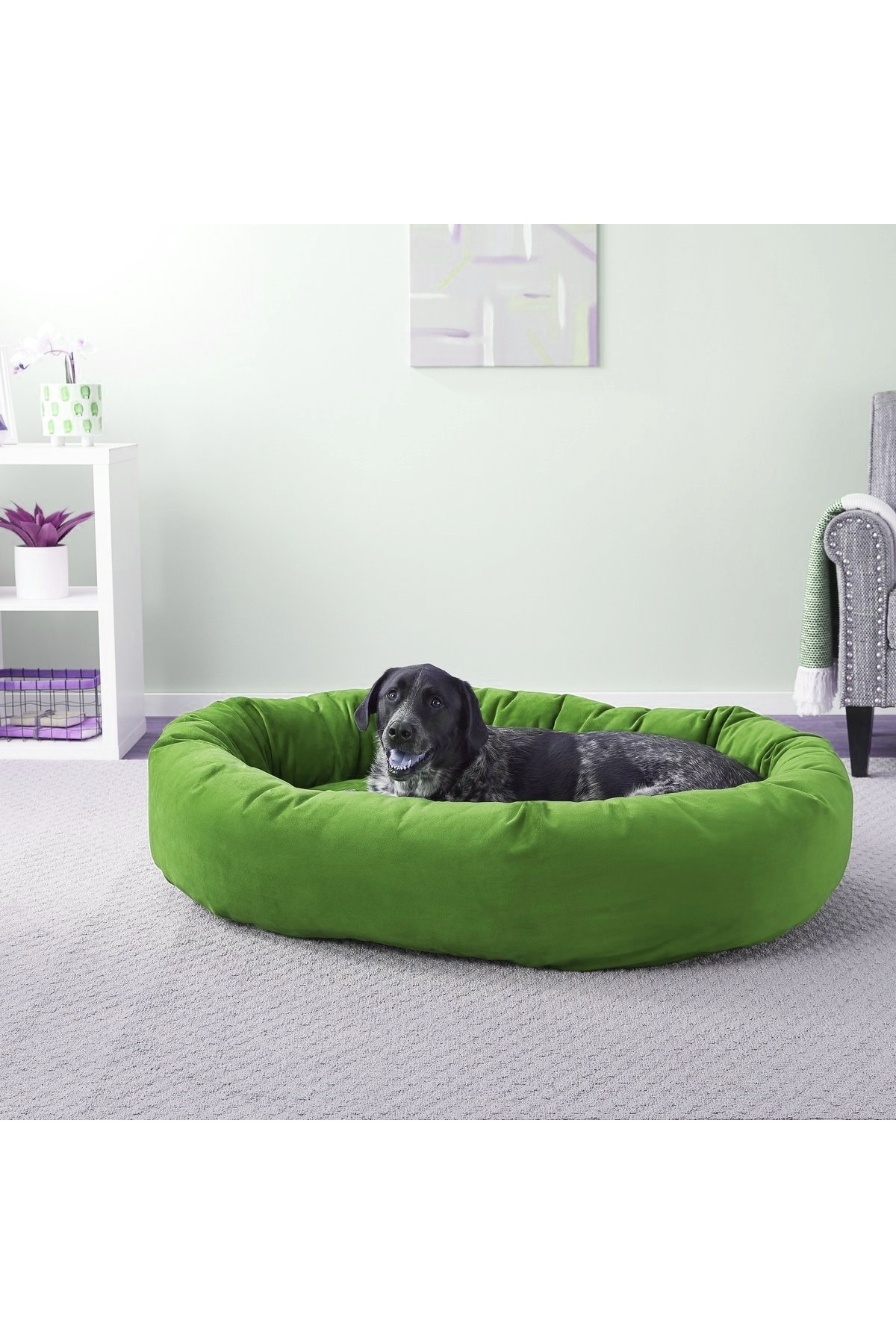 Patili Evler Köpek Yatağı Büyük Boy 75x110 Xxl Karışık Renklerde ...