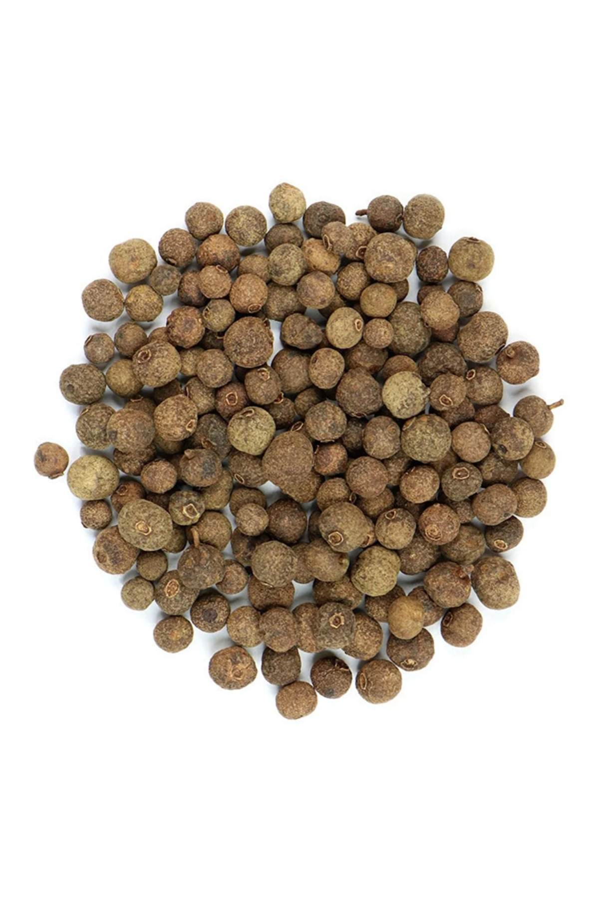 SELNUS Yenibahar ( Tane ) 100 Gram Yeni Bahar ( Pimenta Dioica ...
