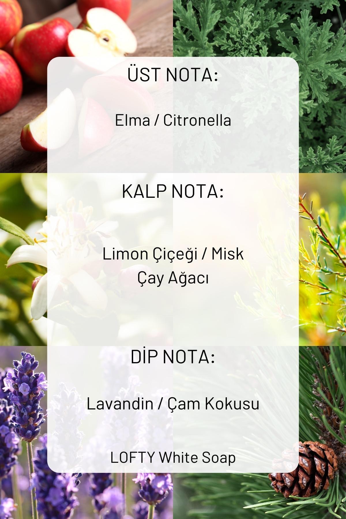 Lofty Beyaz Sabun Bambu Çubuklu Oda Kokusu 100 Ml - Fiyatı, Yorumları