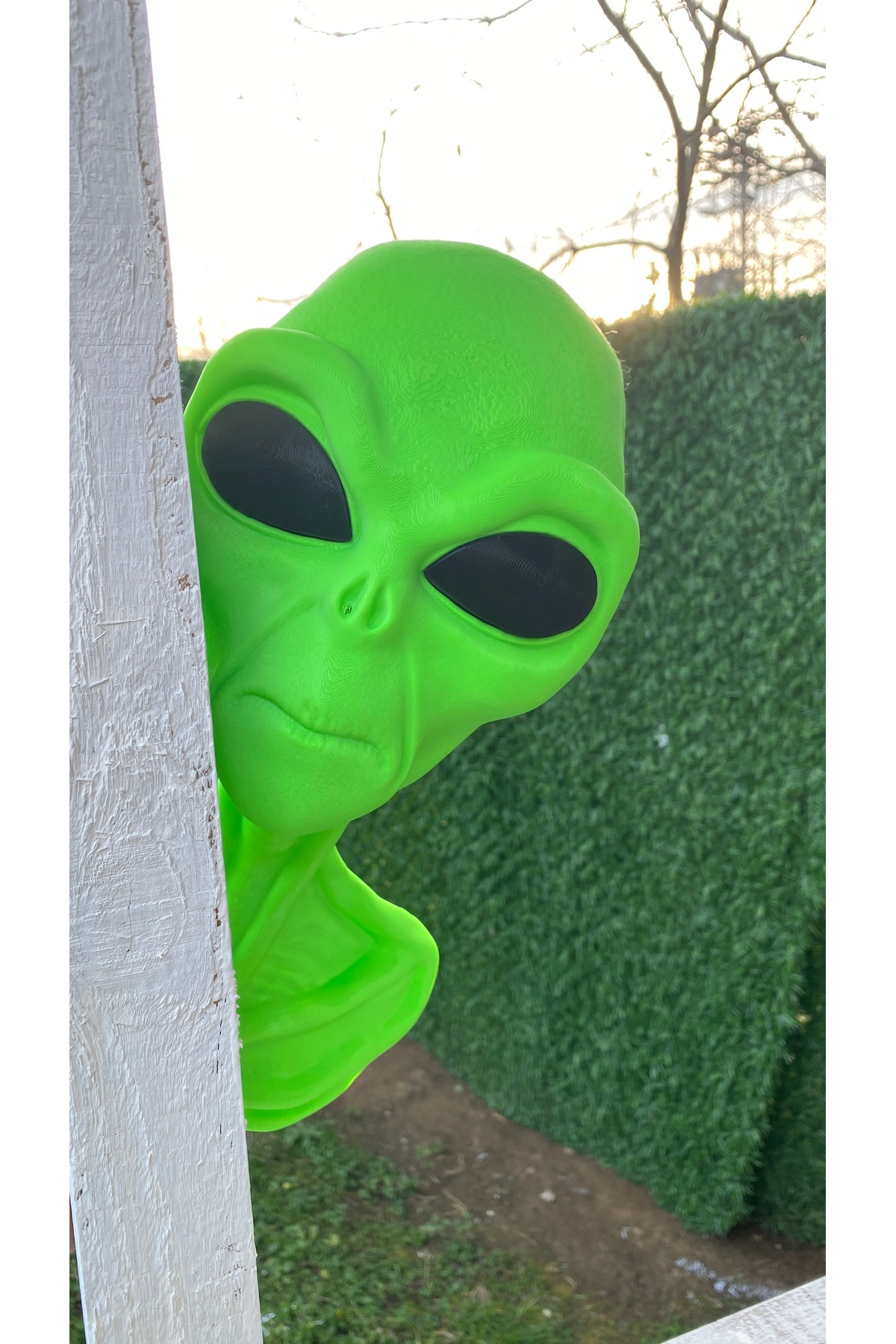 Root Made Alien Duvar Dekoru Uzaylı Duvar Dekorasyonu Alien Büst Gamer ...