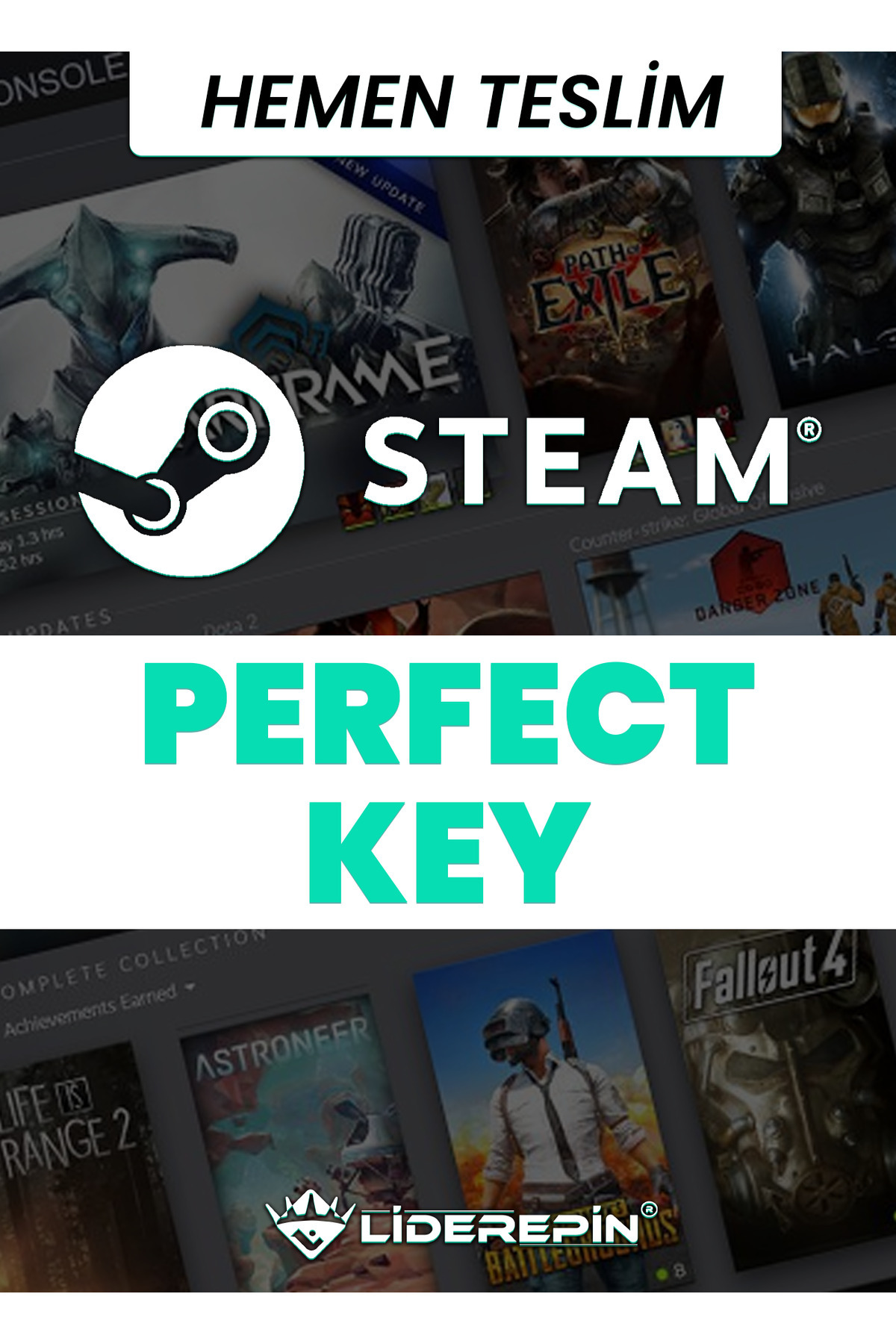 LİDER EPİN Steam Random (perfect) Key - Fiyatı, Yorumları