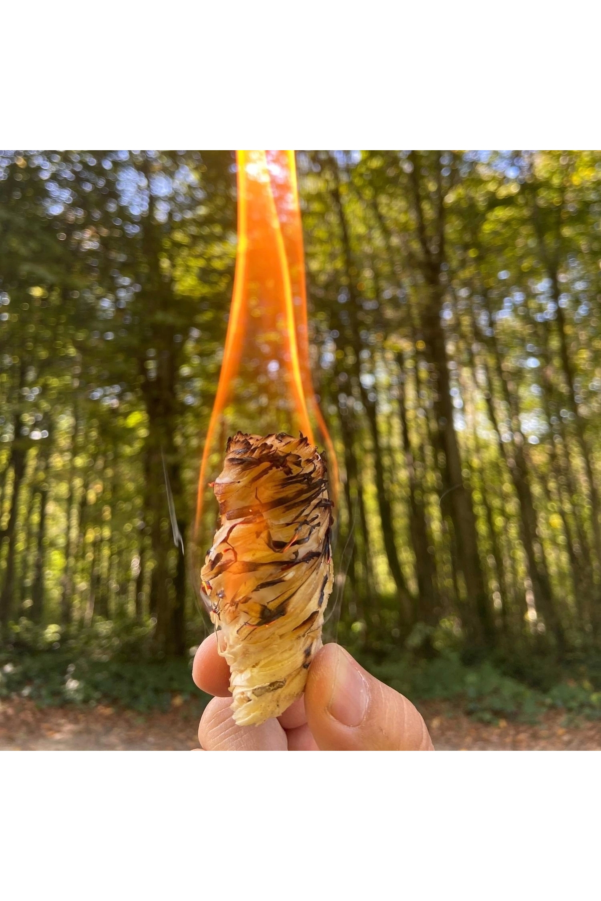 BONGA Odun Yünü Ateş Tutuşturucu - 350 g Fiyatı, Yorumları - Trendyol