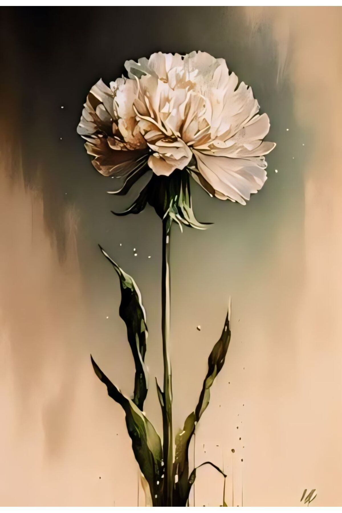 lule home Sayılarla Boyama Seti Beyaz Şakayık 40x50 Fiyatı, Yorumları - Trendyol