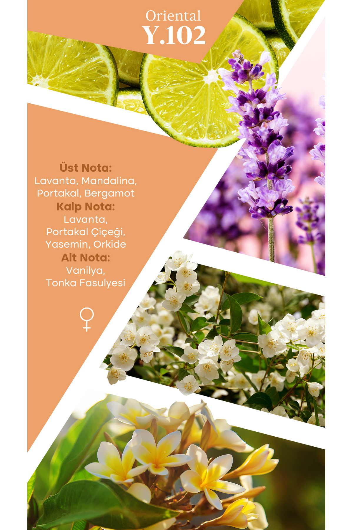 Mad Parfüm Mad Y102 Selective 50 ml Kadın Parfüm Fiyatı, Yorumları - Trendyol