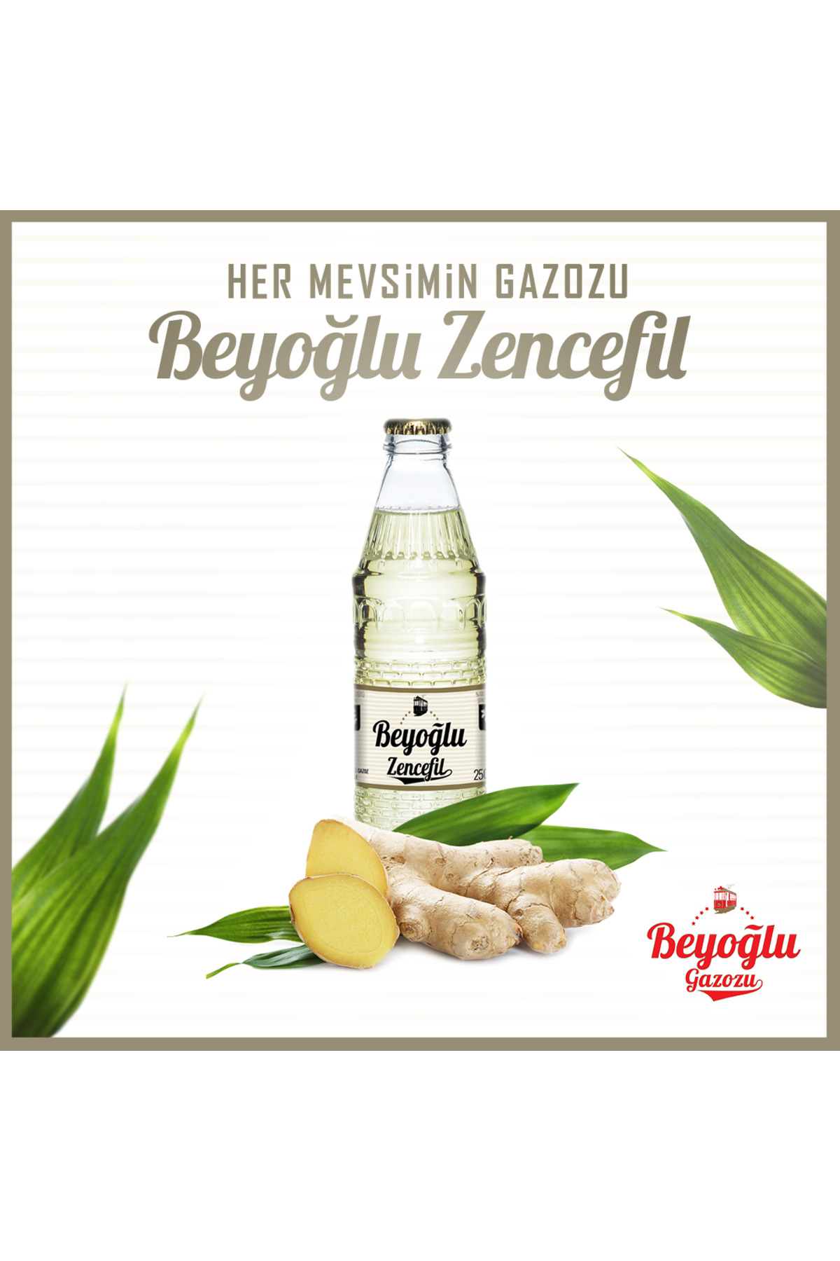 Beyoğlu Gazozu Zencefilli 250 Ml X 24 Adet Fiyatı, Yorumları - Trendyol