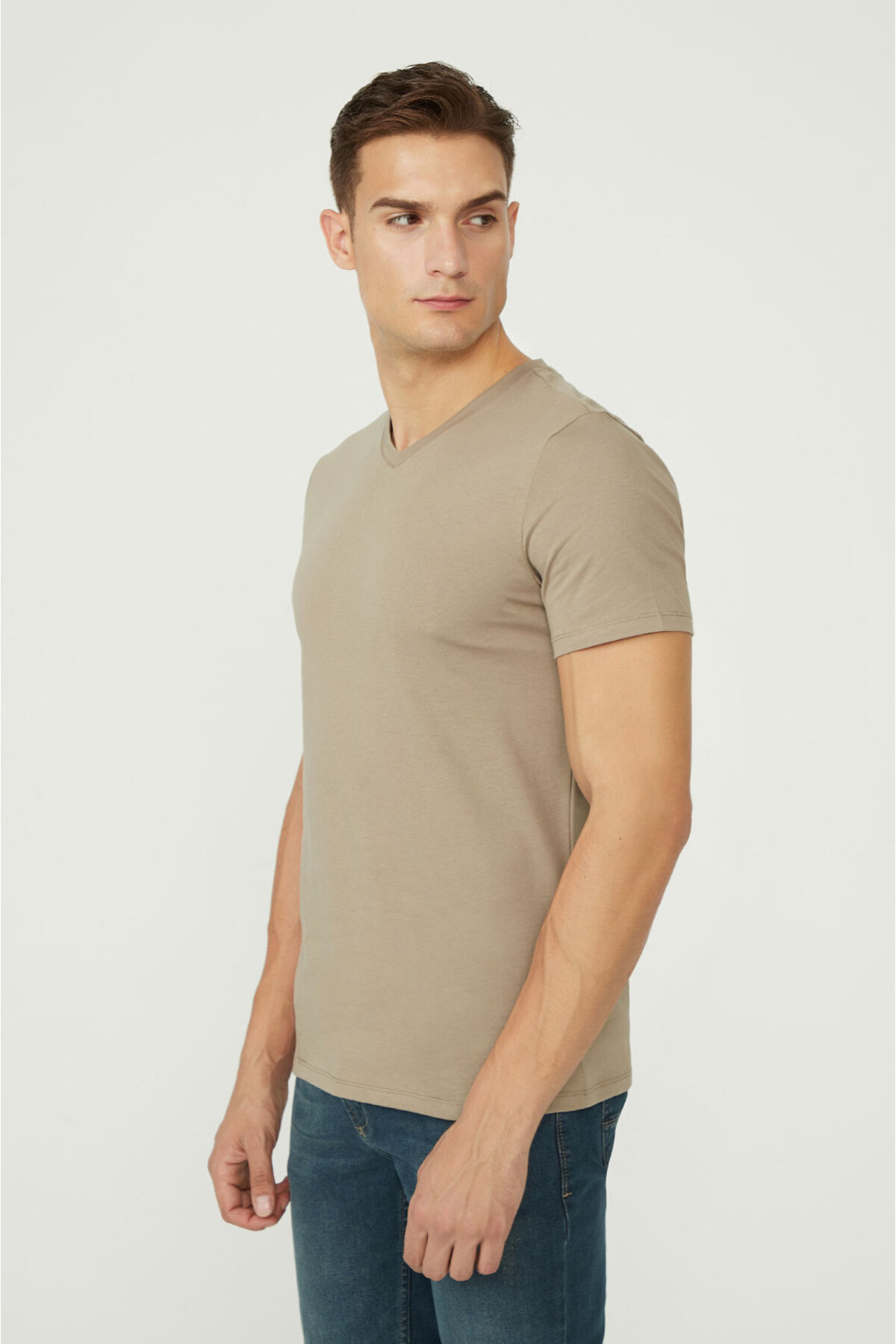 Avva Erkek Vizon T-shirt %100 Pamuk V Yaka Regular Fit E001001 Fiyatı ...