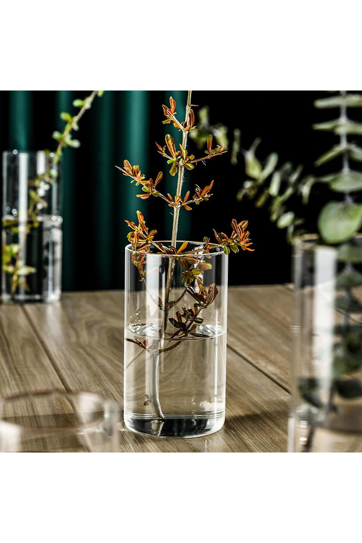 BERRYs VAZO Fiyatı, Yorumları - Trendyol