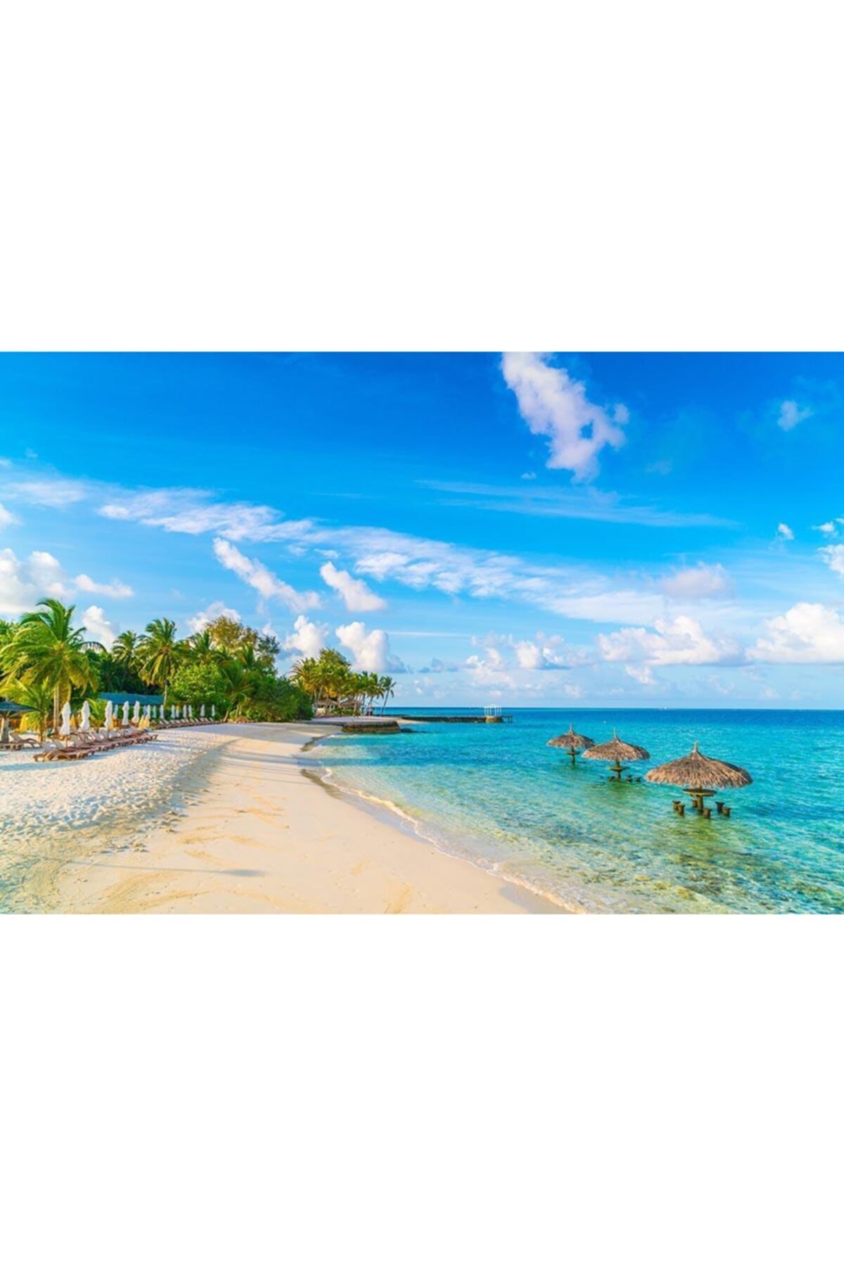 Sahil Evi çiçek Duvar Kağıdı