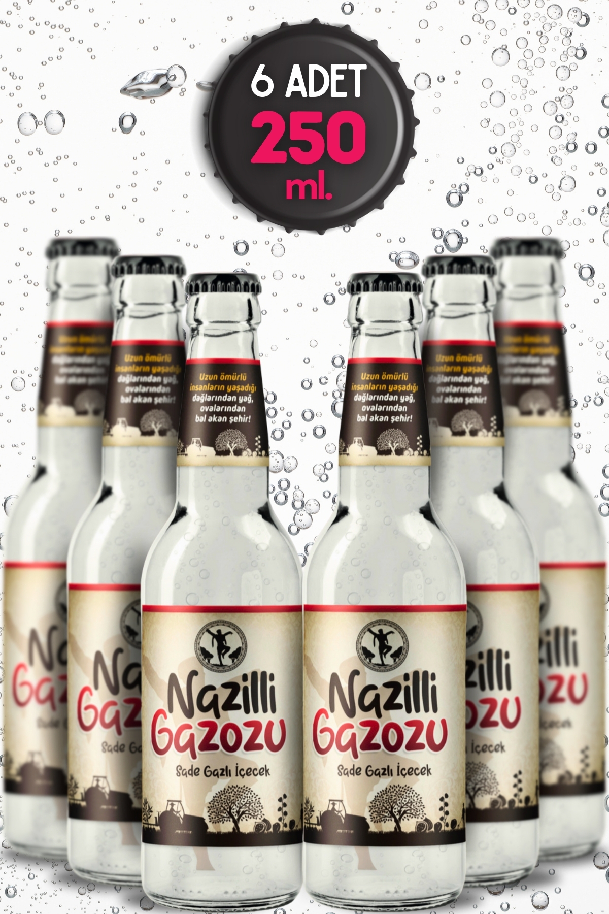 NAZİLLİ GAZOZU Yöresel Nazilli Gazozu 250 Ml. - Efsane Yerel Gazoz (6 ...